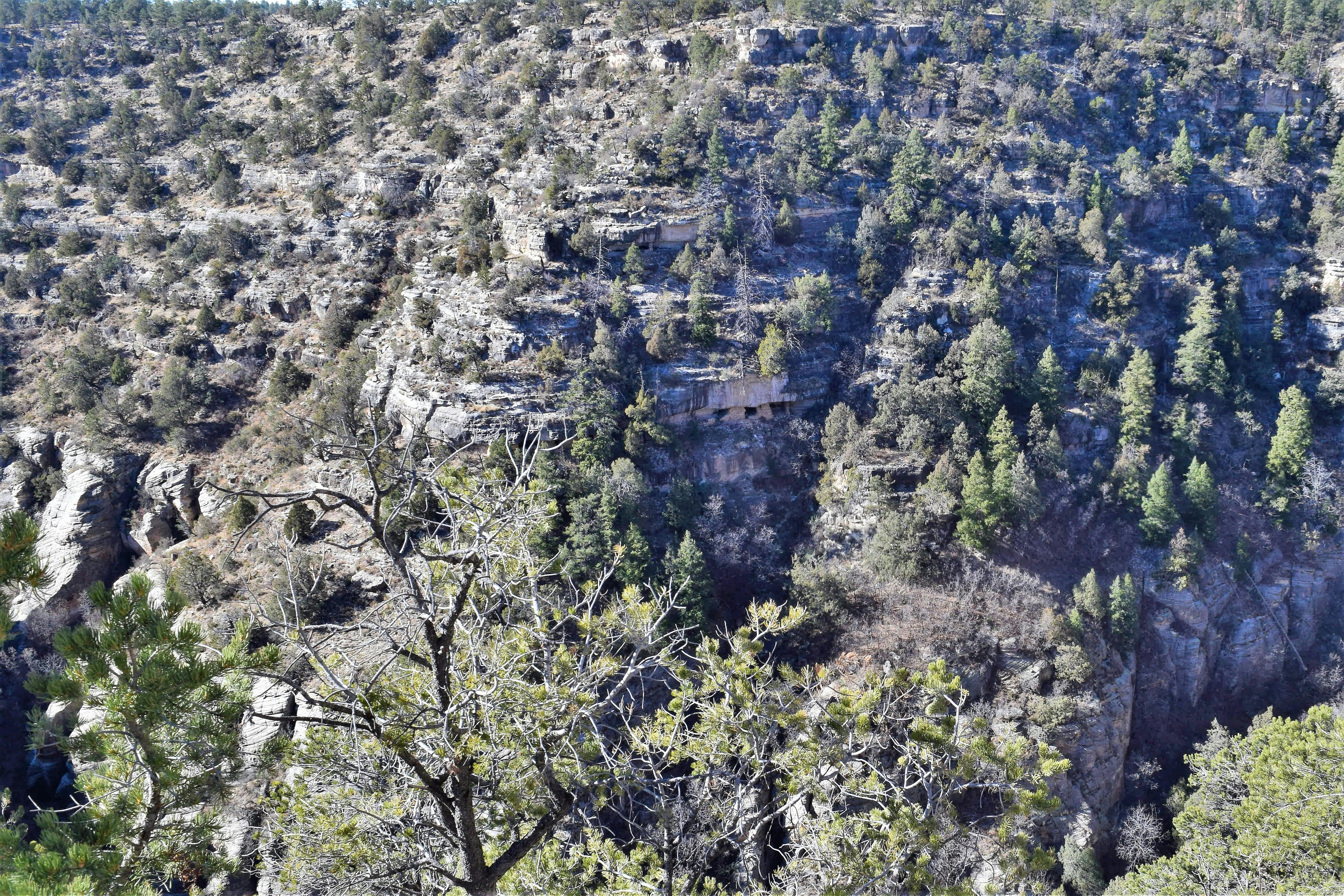 Free stock photo of mountain, tree, valley