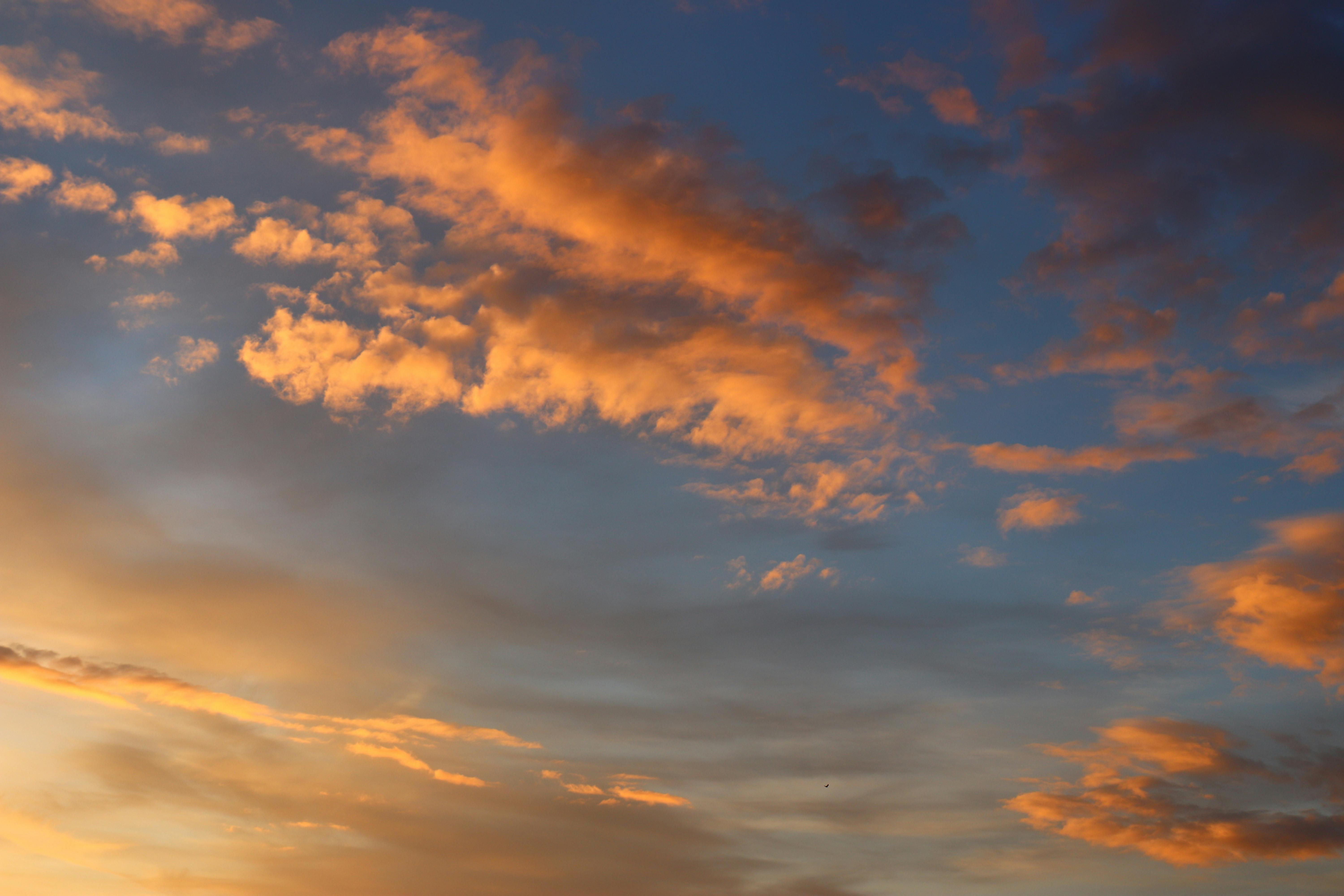 Laura Otte - Fotografía