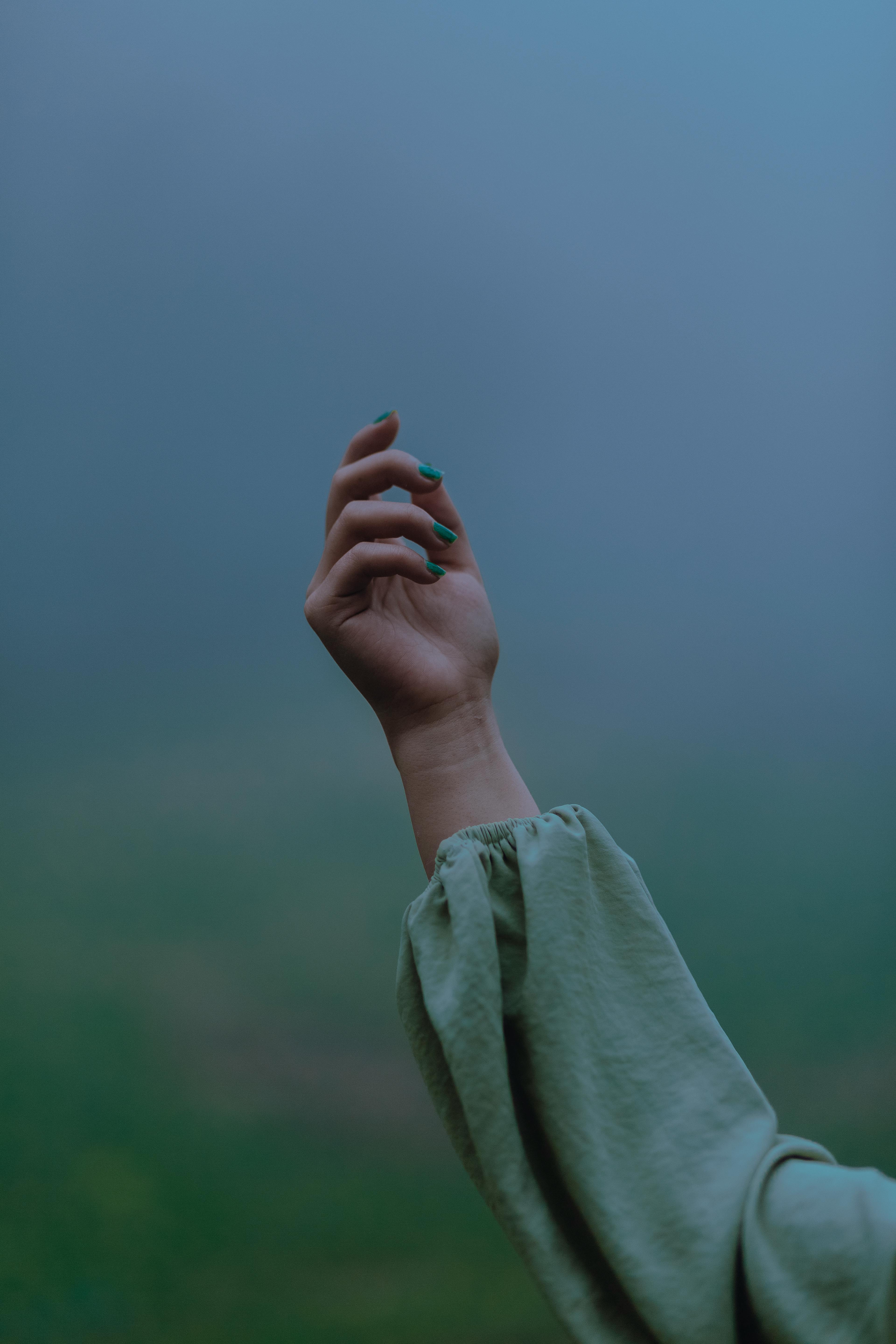 mohsen AMERI - Photography