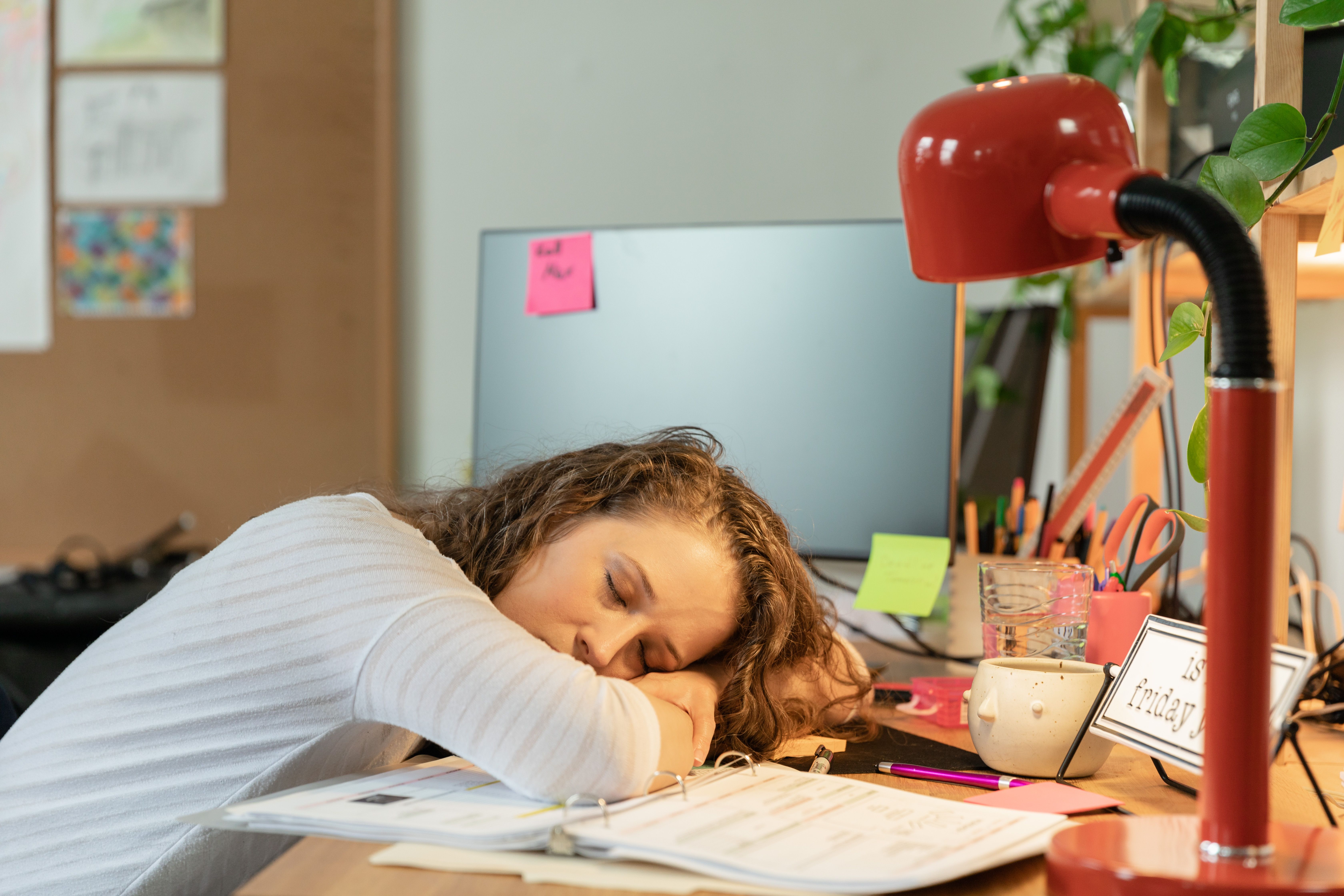 Foto de stock gratuita sobre descansando, dormido, empleado, hombre ...