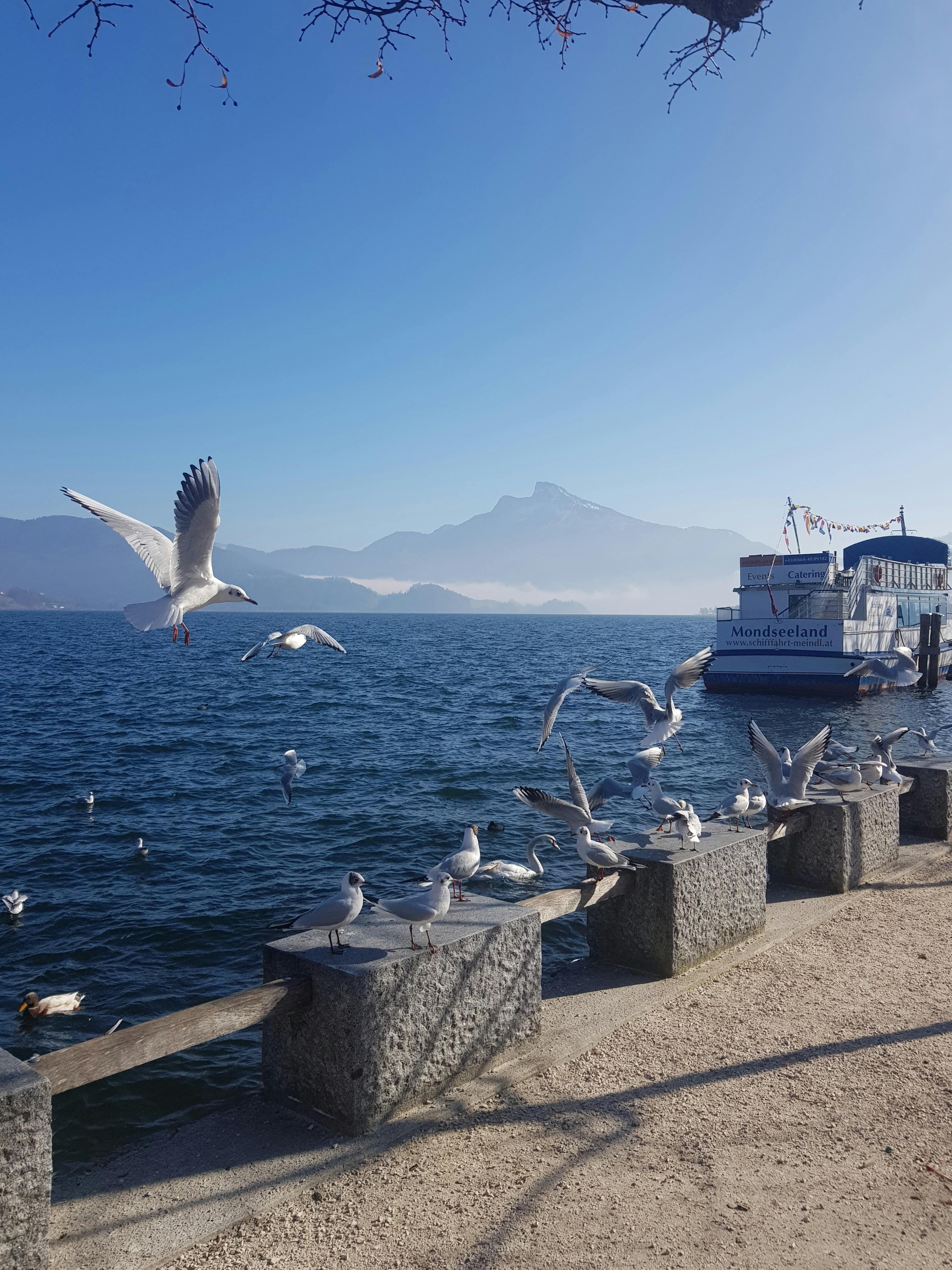 Take Noon Photos, Download The BEST Free Take Noon Stock Photos & HD Images