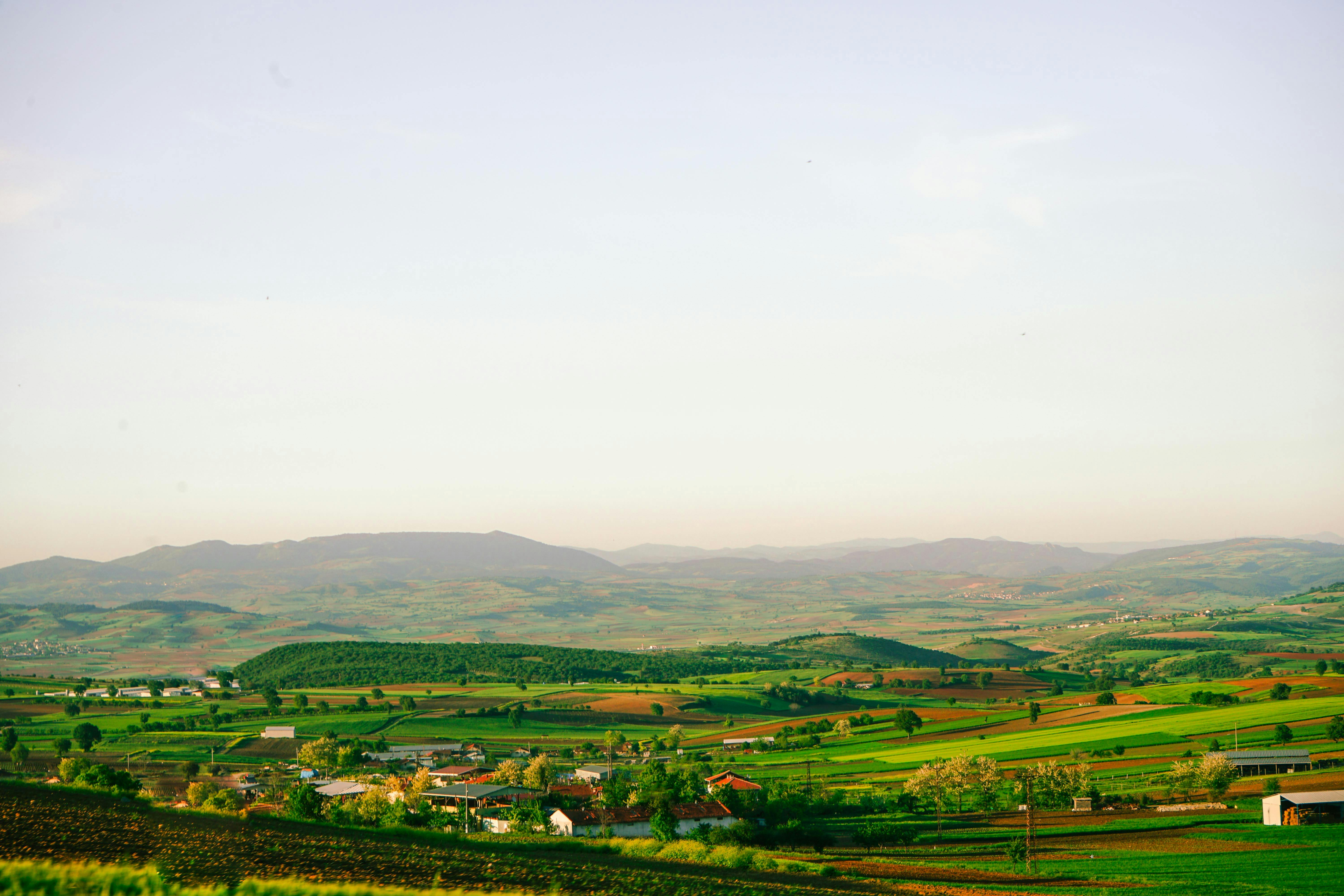 Green Trees on Farm Field · Free Stock Photo