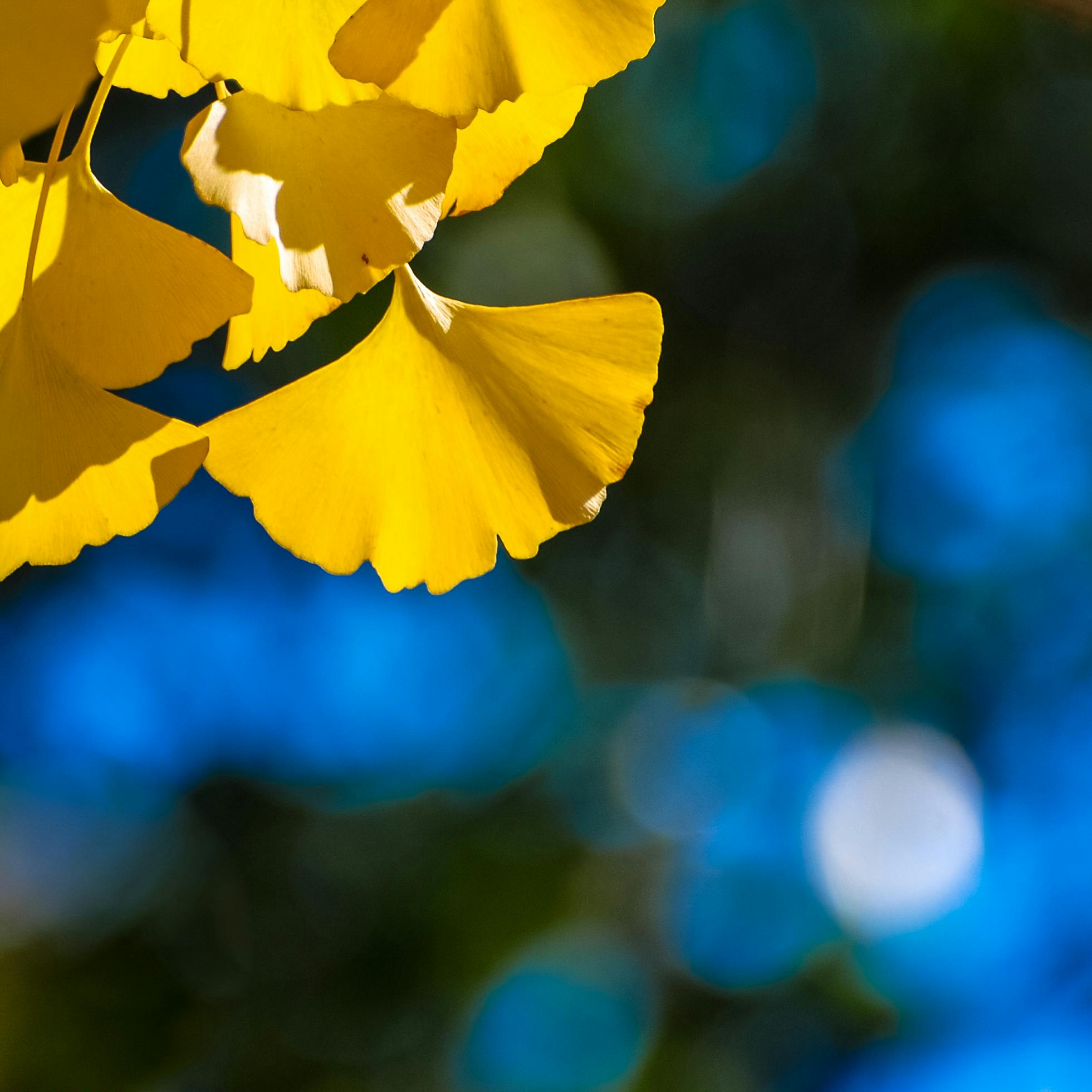 emil lin – fotografie