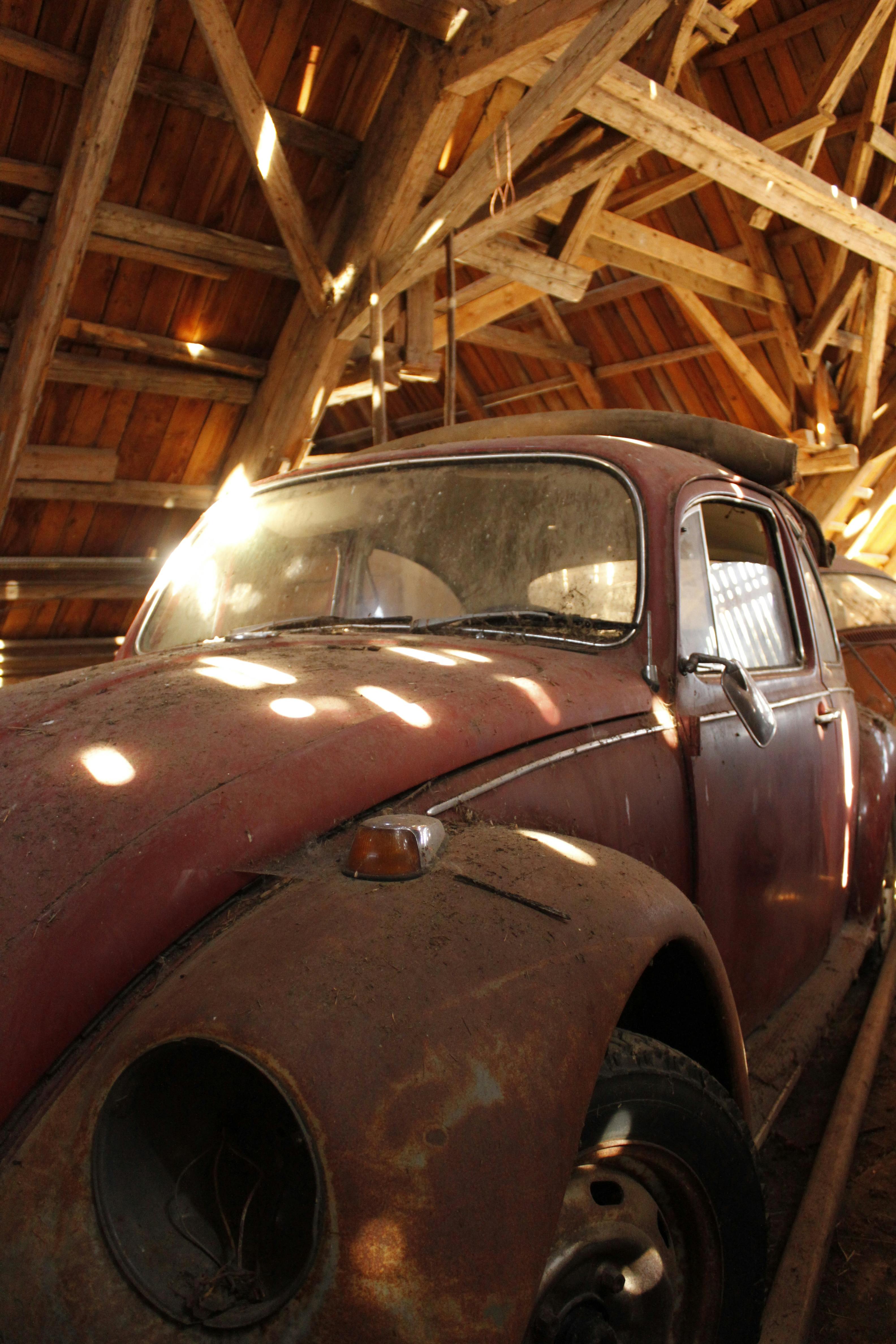 Free stock photo of barn, destroyed, dust