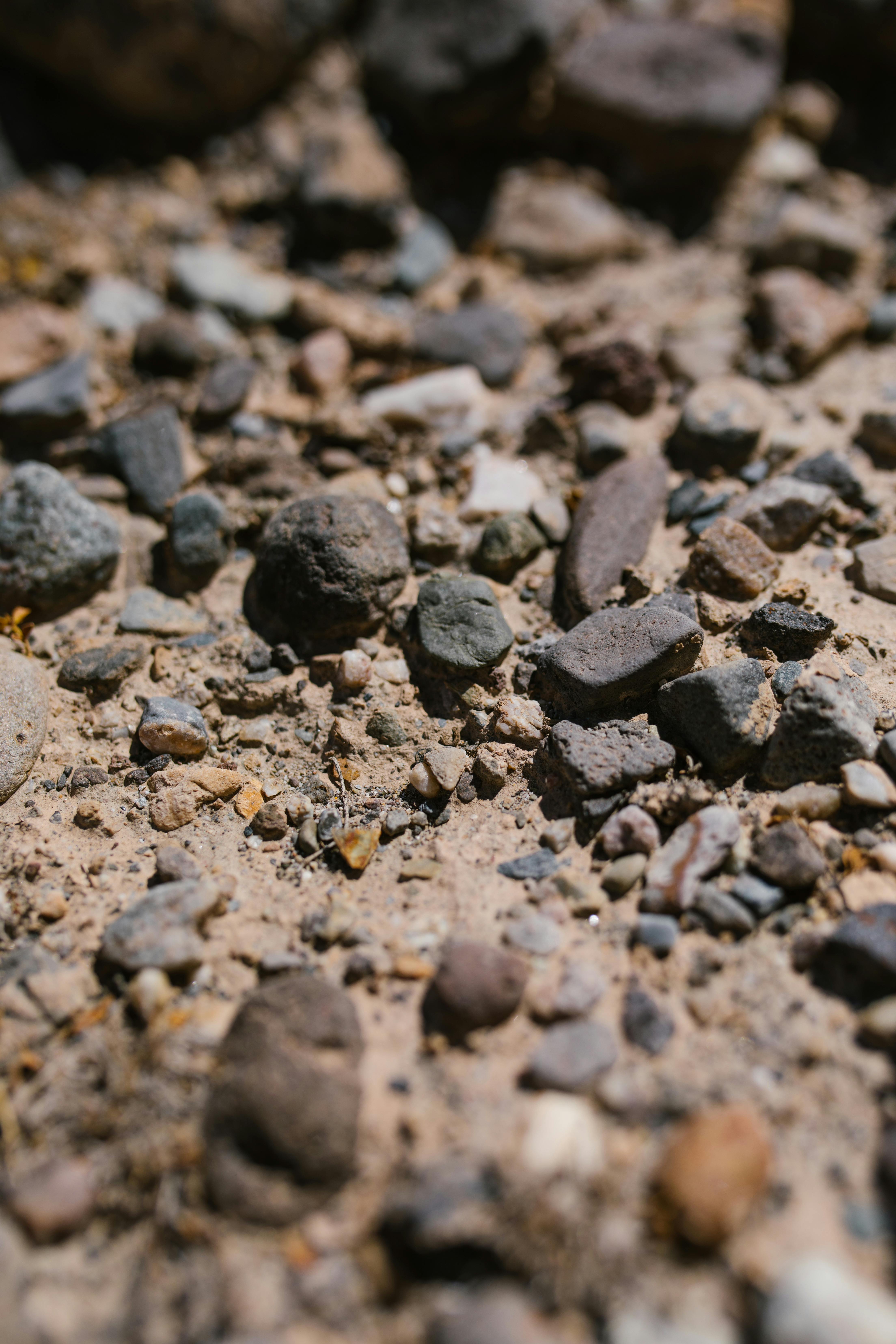 Close-up of Stones on Ground · Free Stock Photo