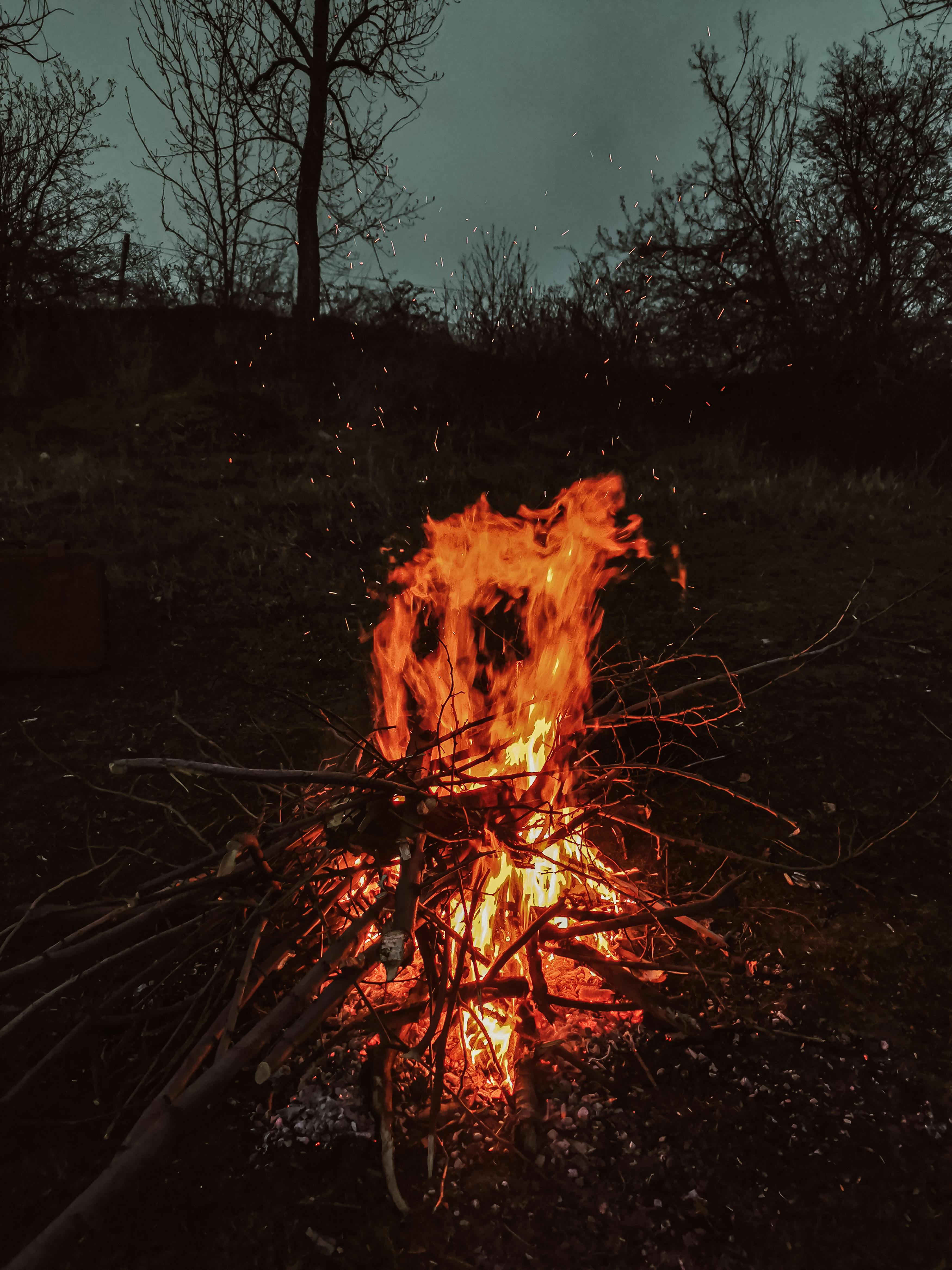 A Fire in a Forest · Free Stock Photo