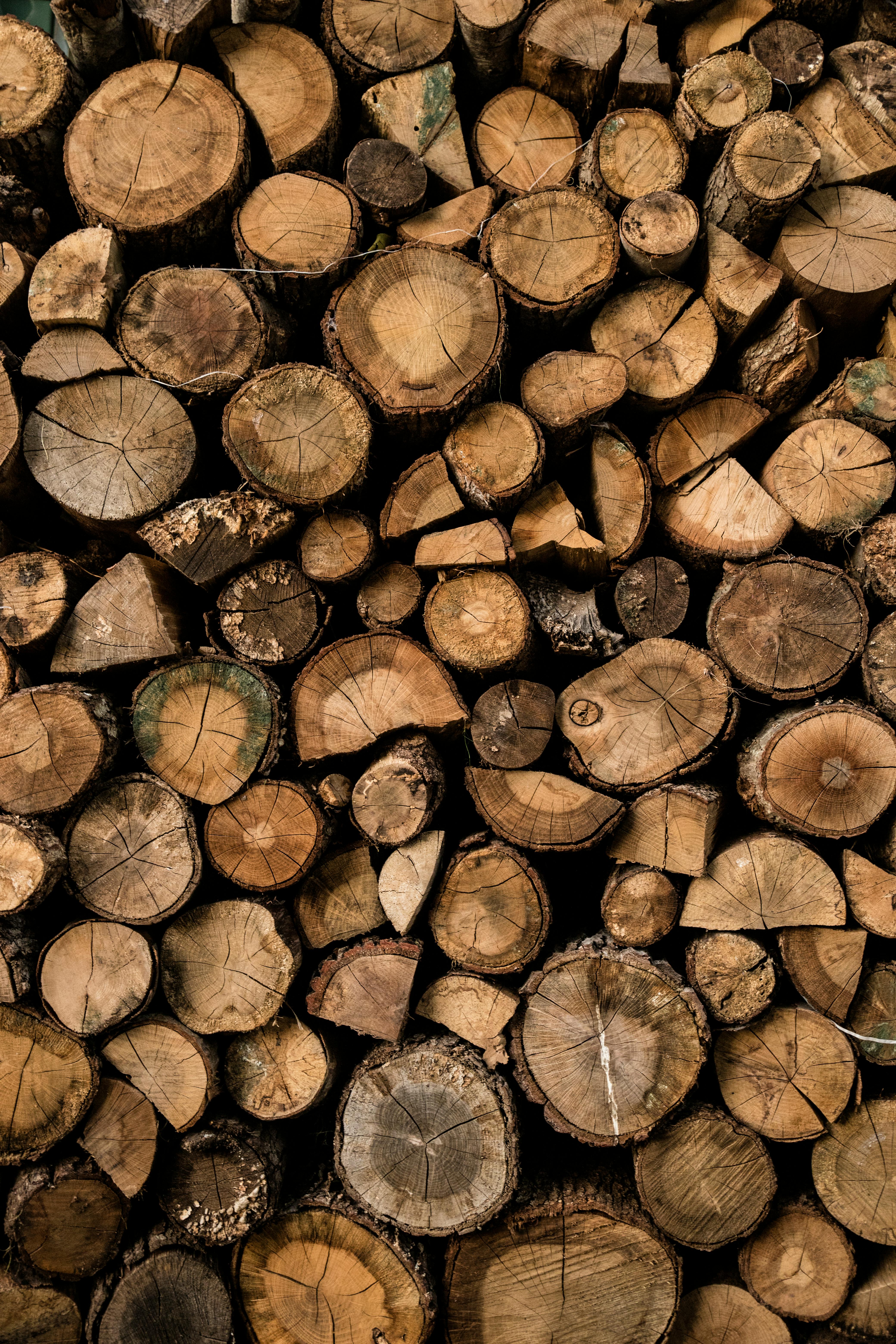 Close up on chopped timber · Free Stock Photo