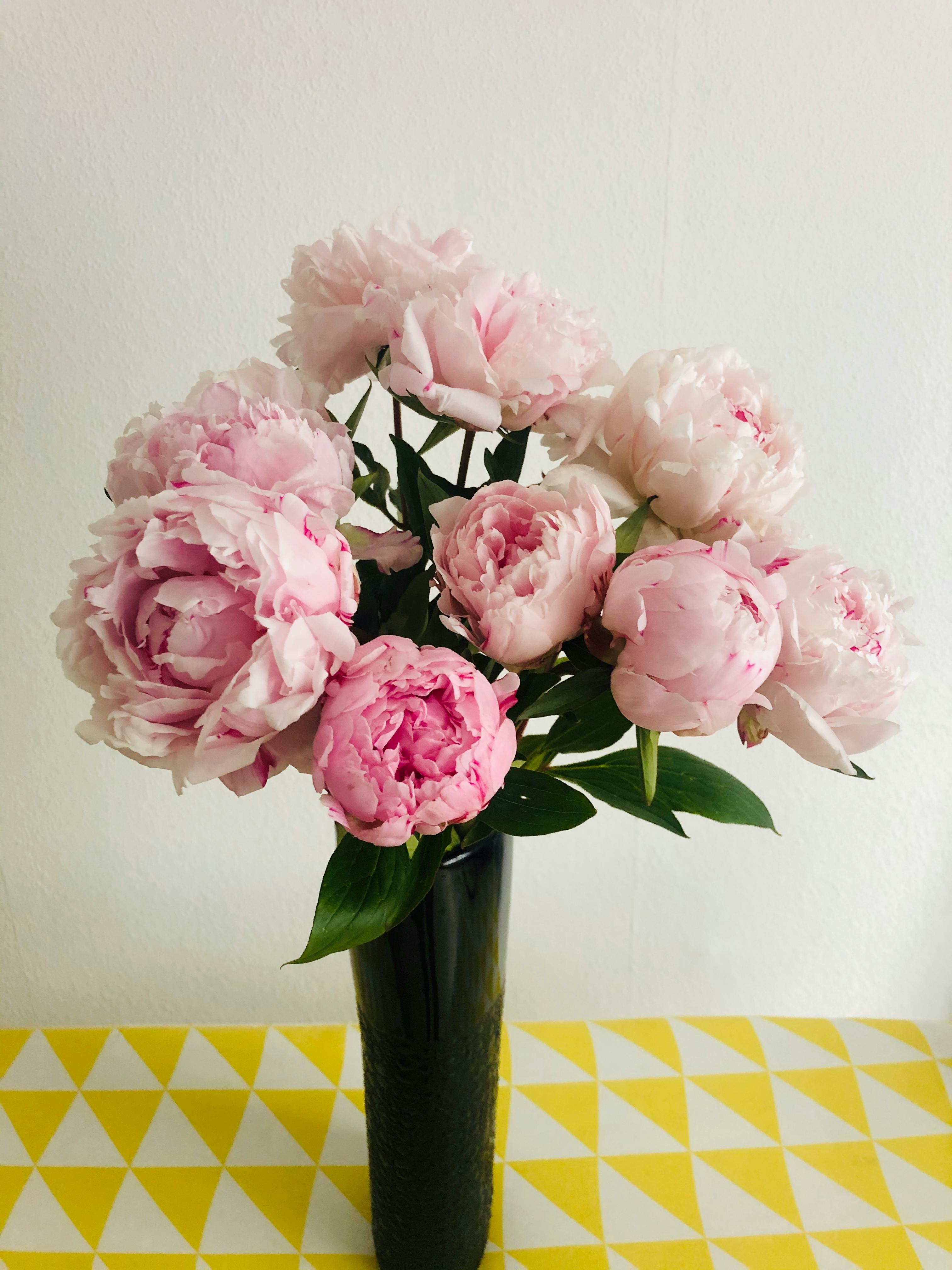 Flovers 5 Photos & Videos Collected by L X