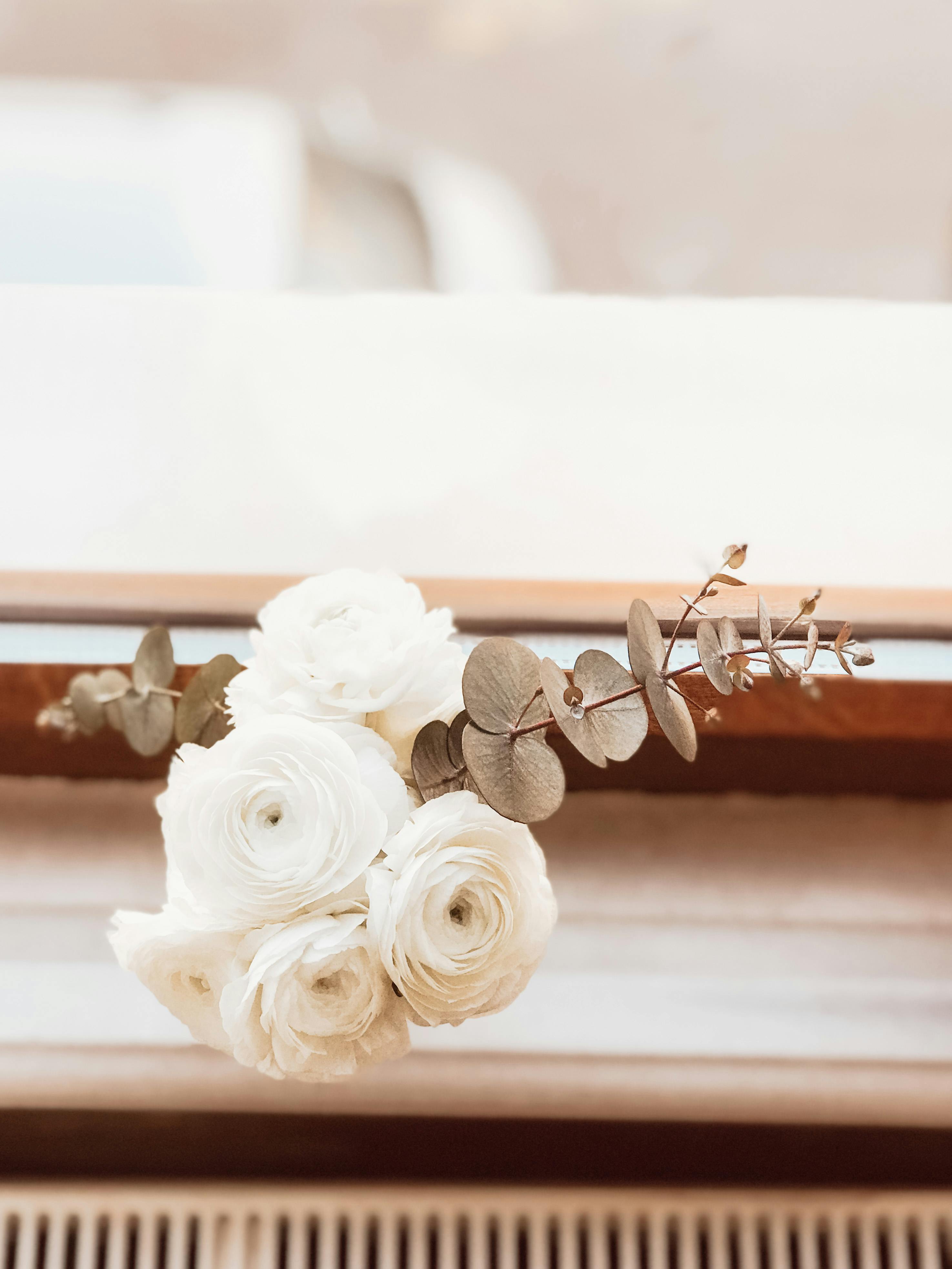 Sepia Roses Photos, Download The BEST Free Sepia Roses Stock Photos ...