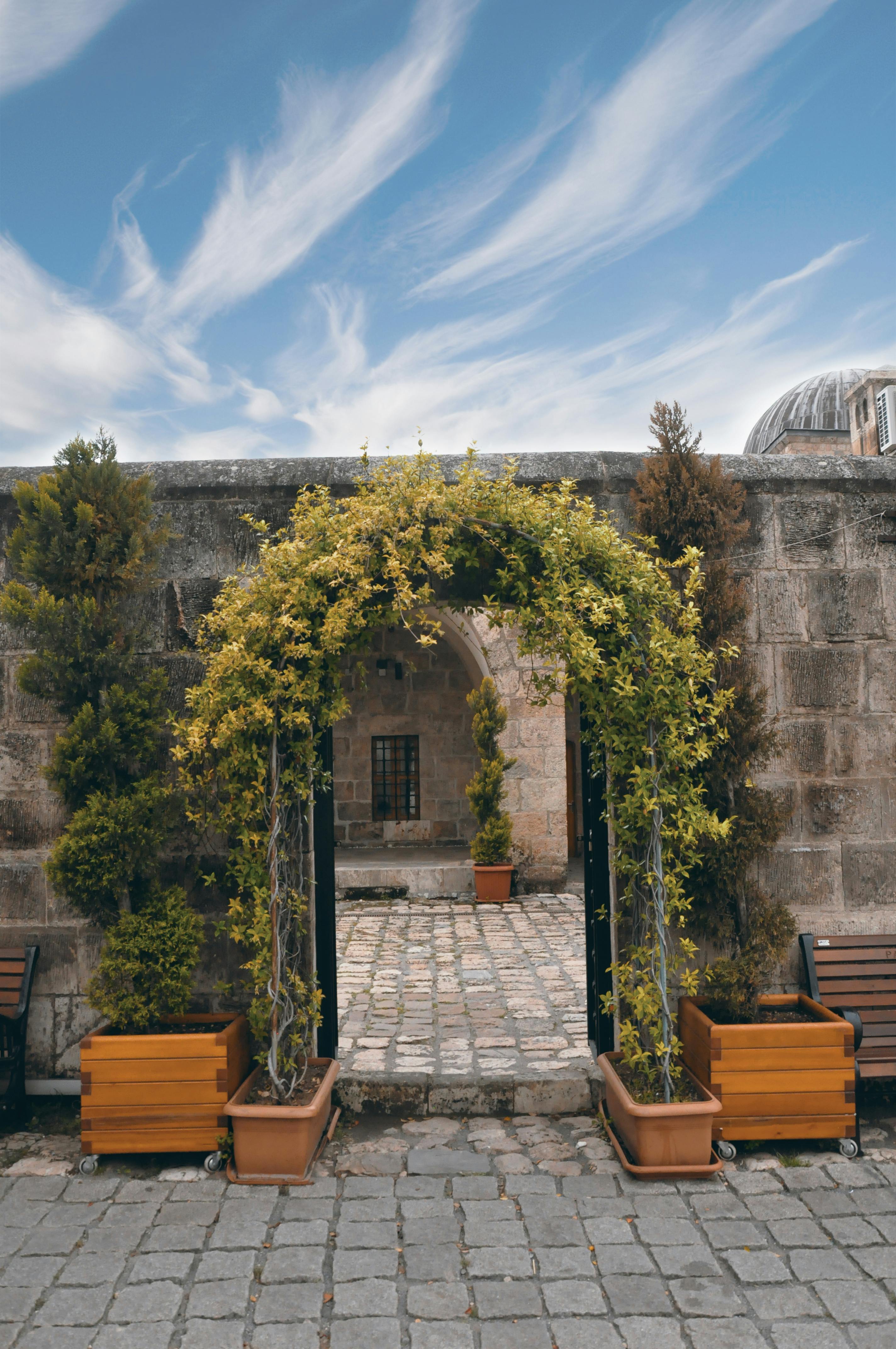 Arbor in Wall Gate · Free Stock Photo