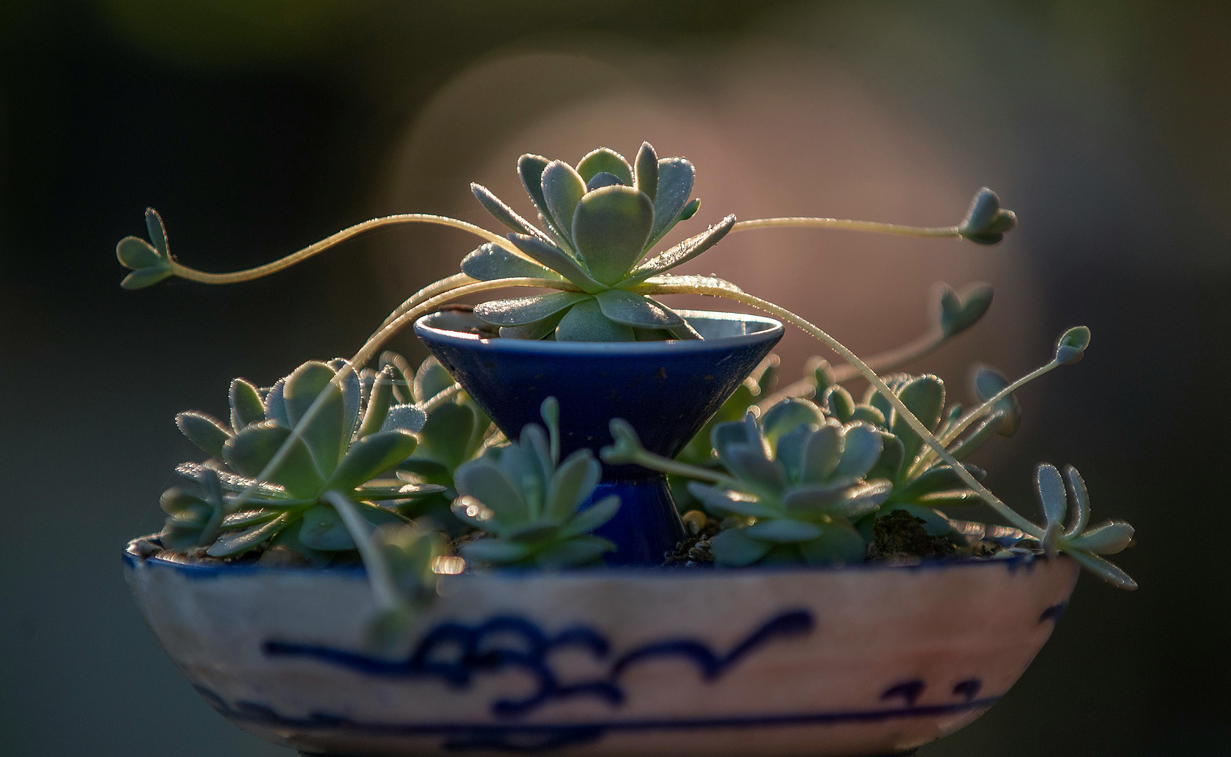Trung Nguyen - Photography