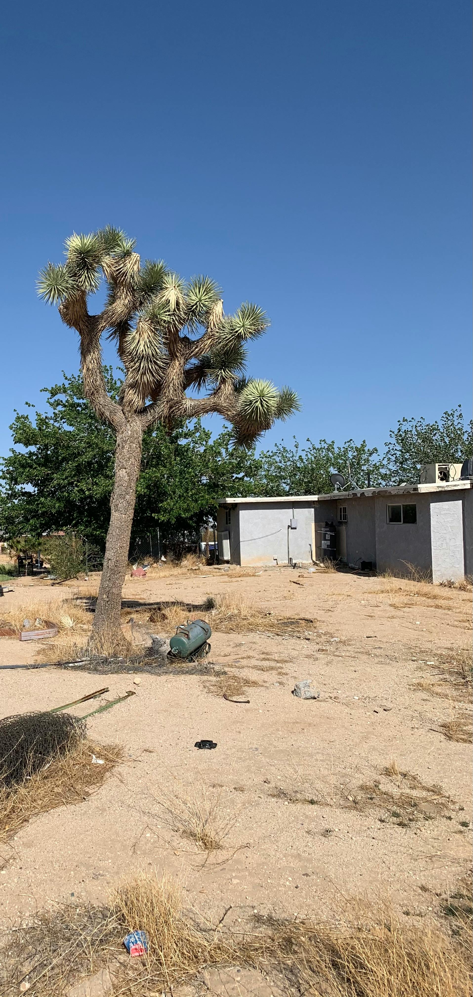 Lupita Moreno - Photography