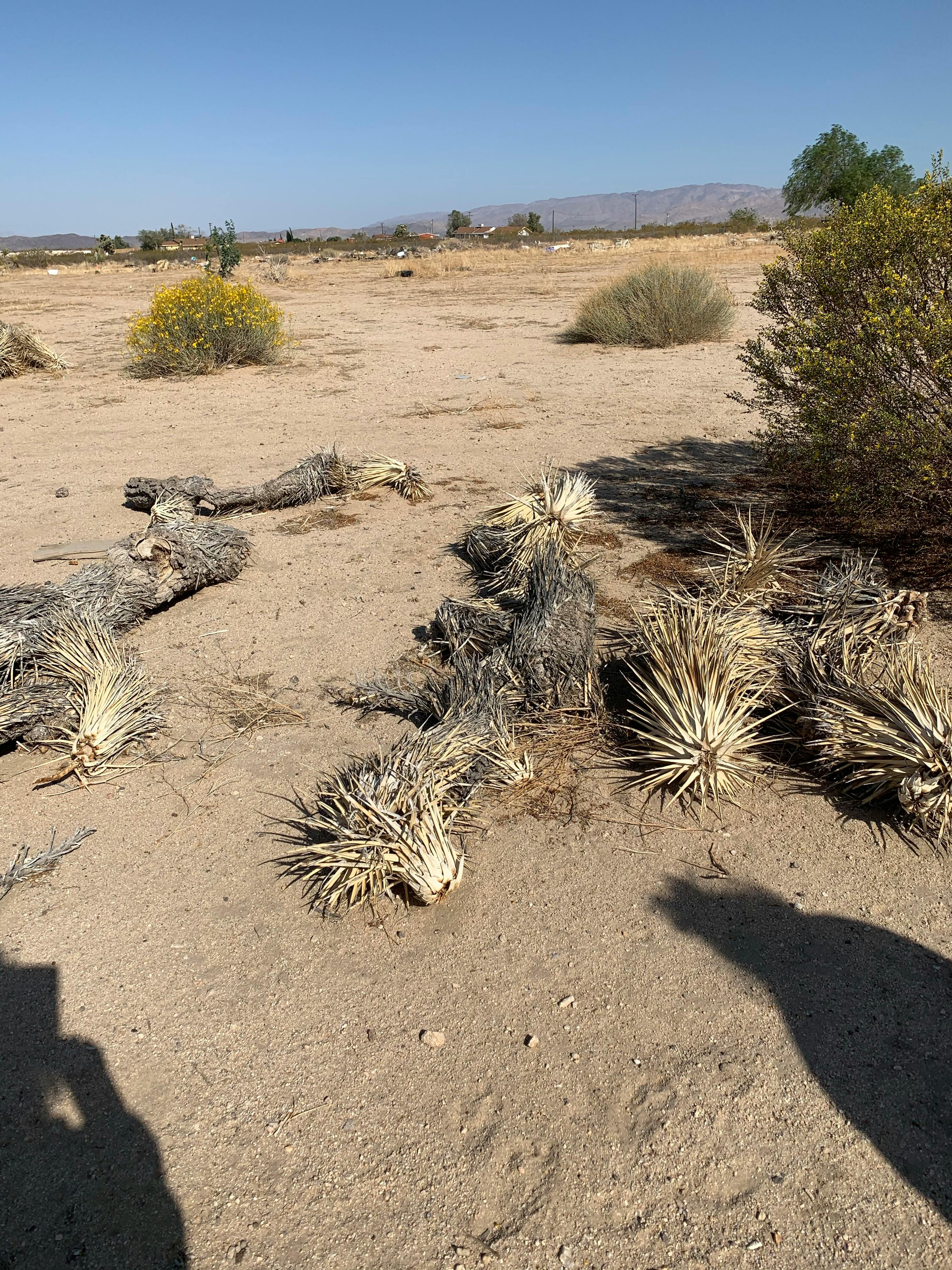 Lupita Moreno - Photography