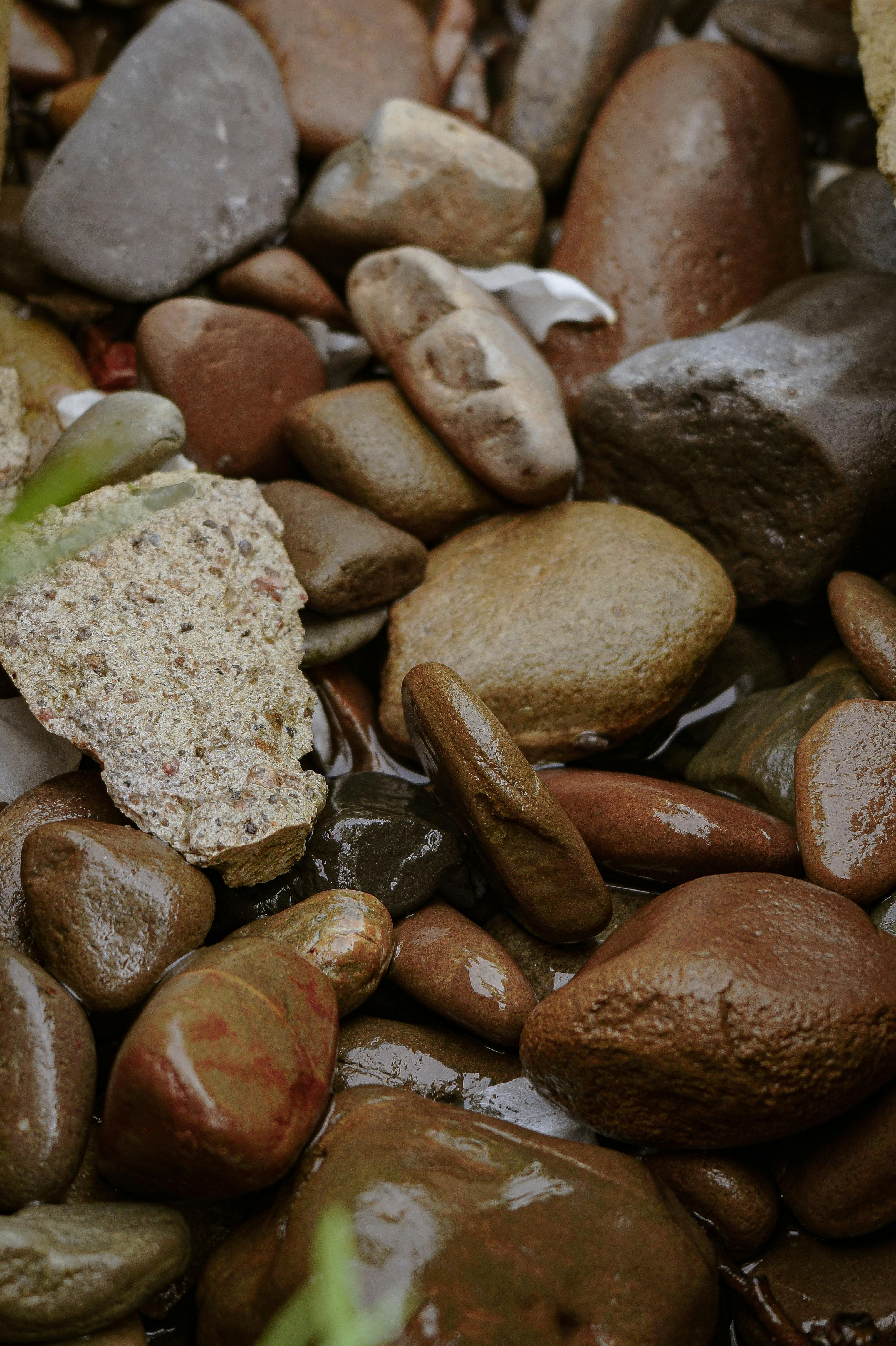 Close Up of Wet Stones · Free Stock Photo
