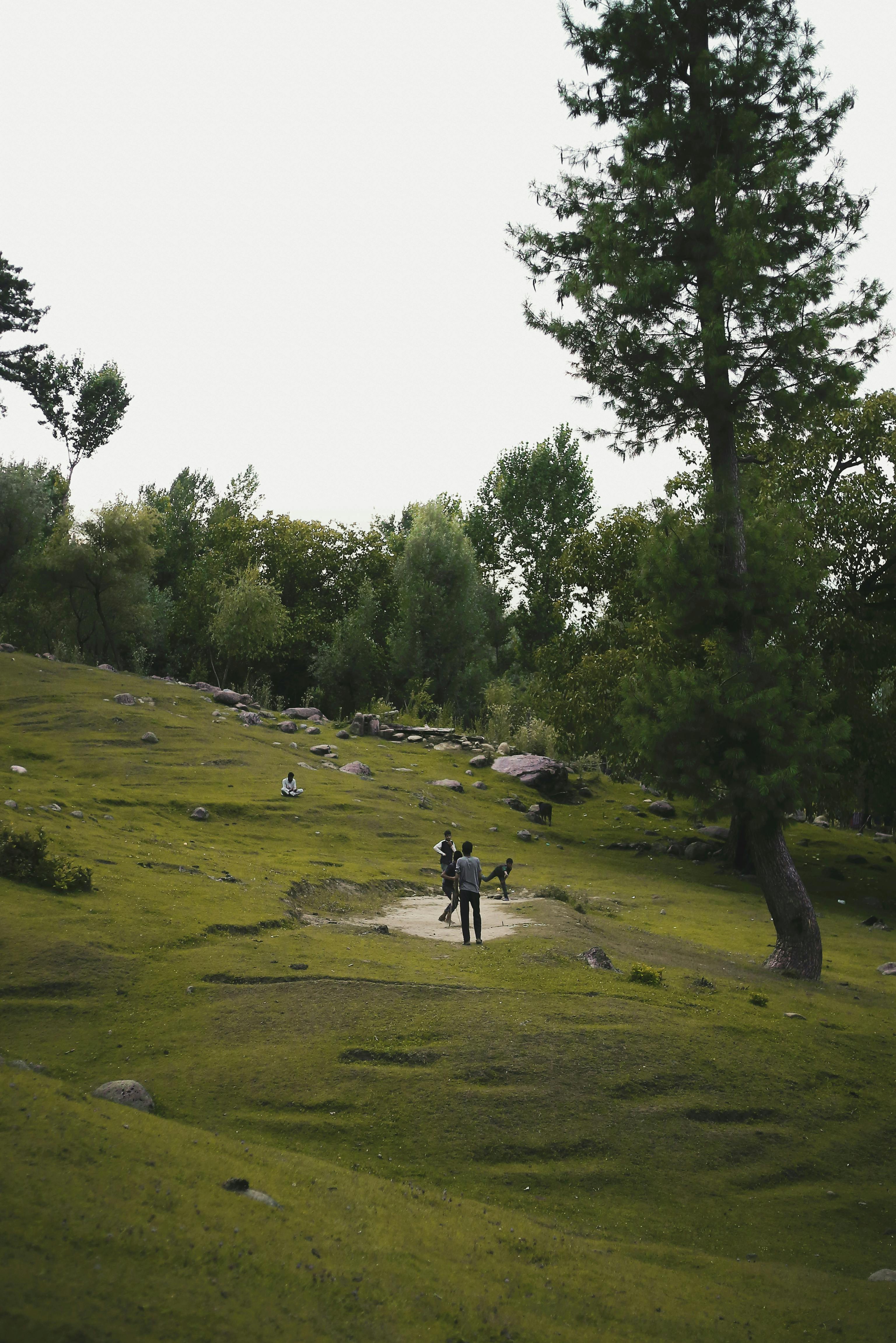 People Walking on Grass Field With Spotlight · Free Stock Photo
