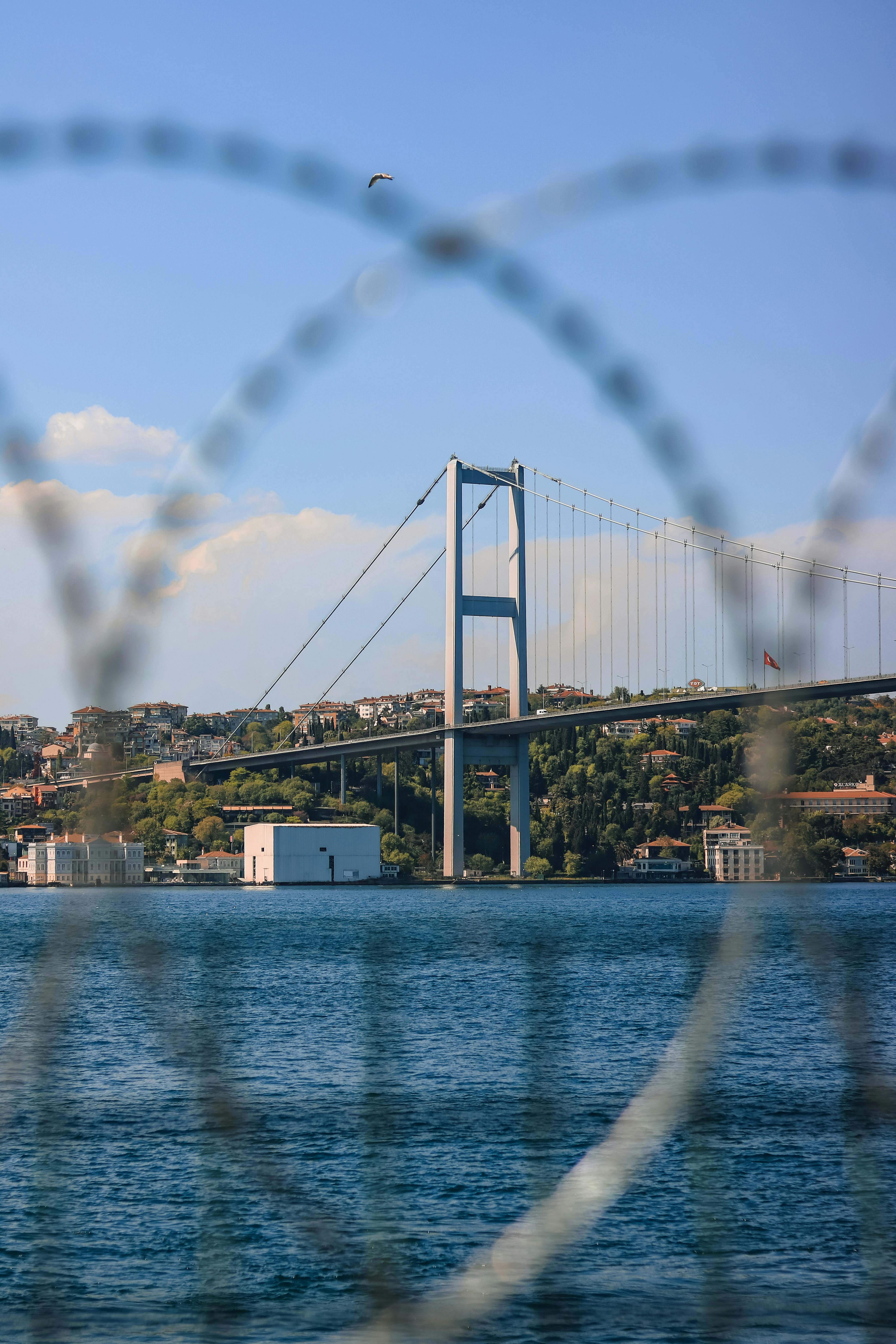 Steel Suspension Bridge over Water · Free Stock Photo
