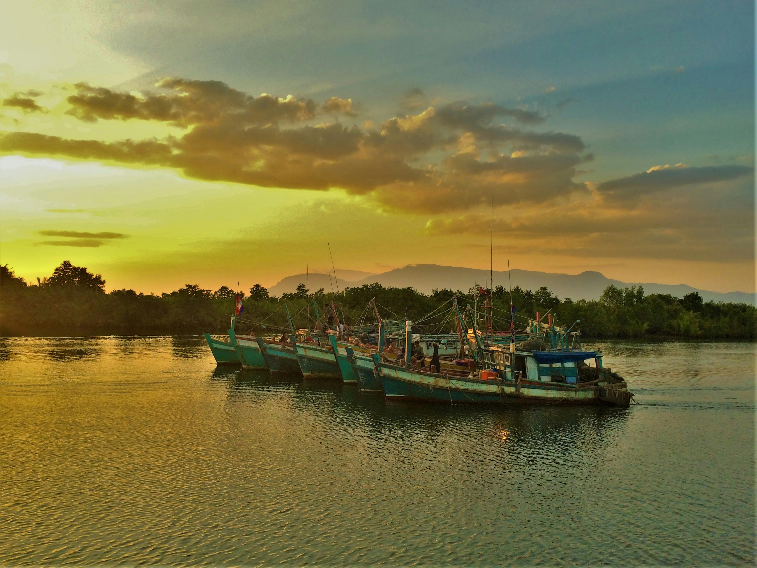 Fish Cambodia: Savoring Khmer Seafood & Traditional Recipes