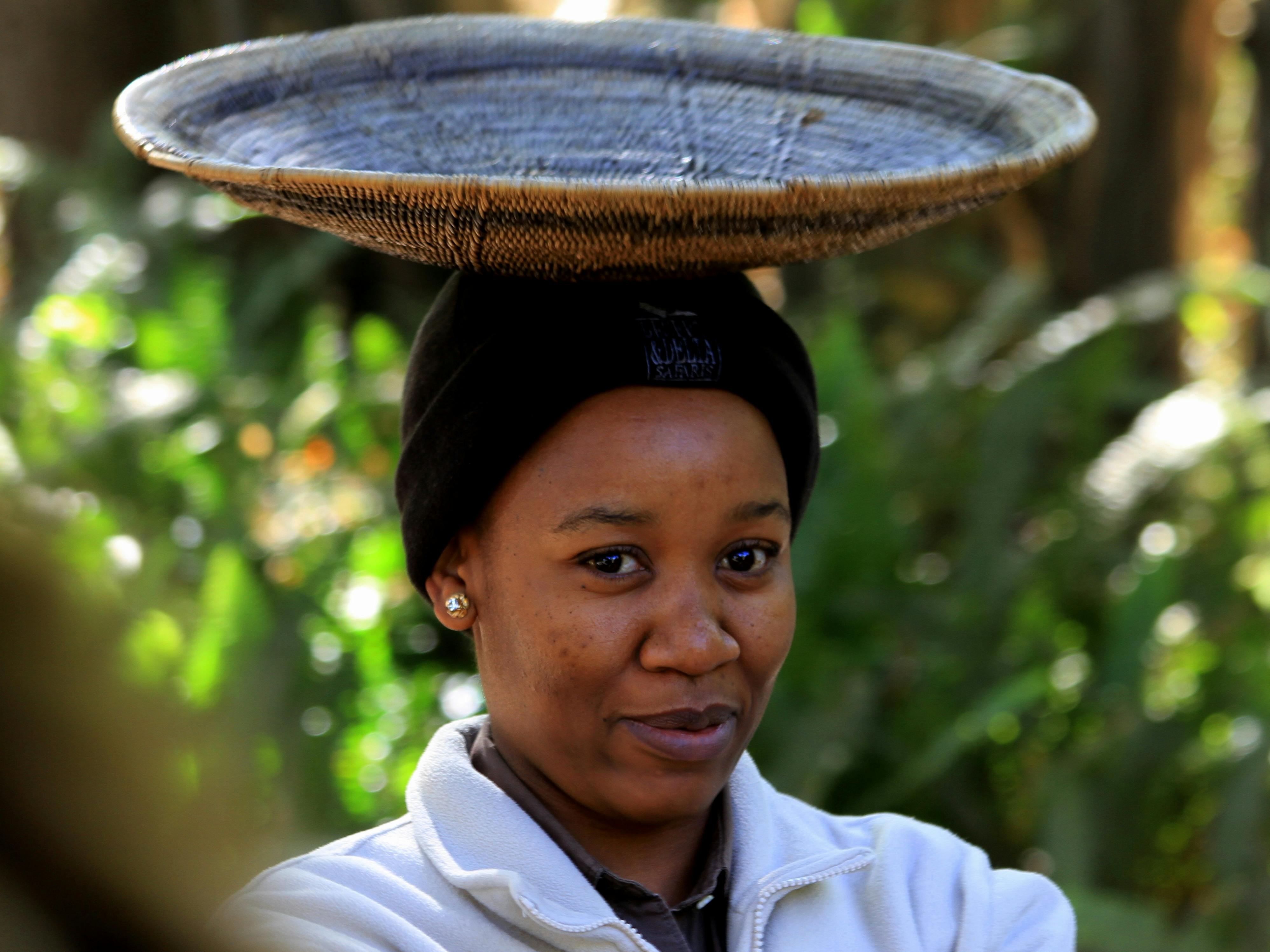 Central African Republic Forest Photos, Download The BEST Free Central ...