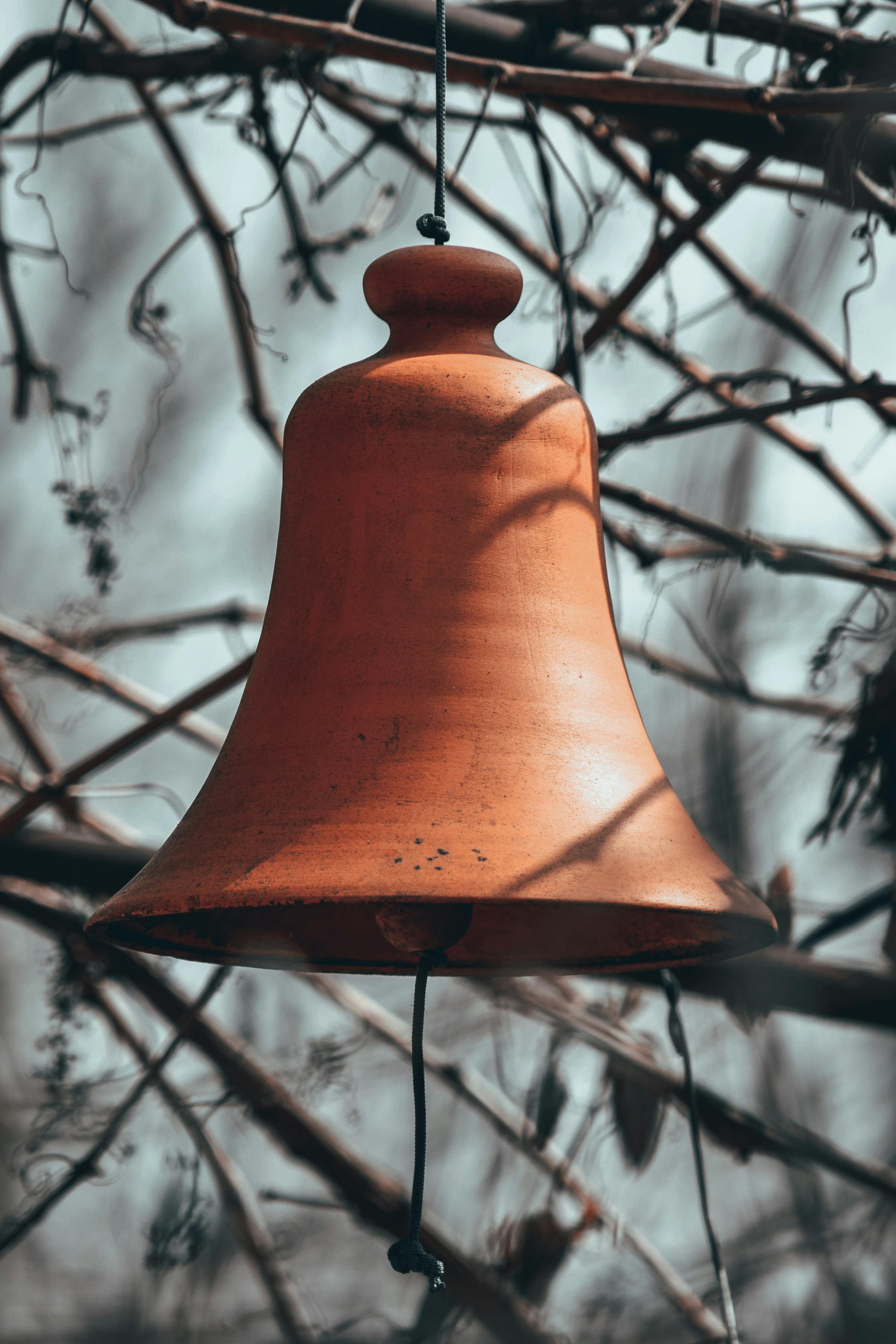 Bell Hanging on a Tree · Free Stock Photo