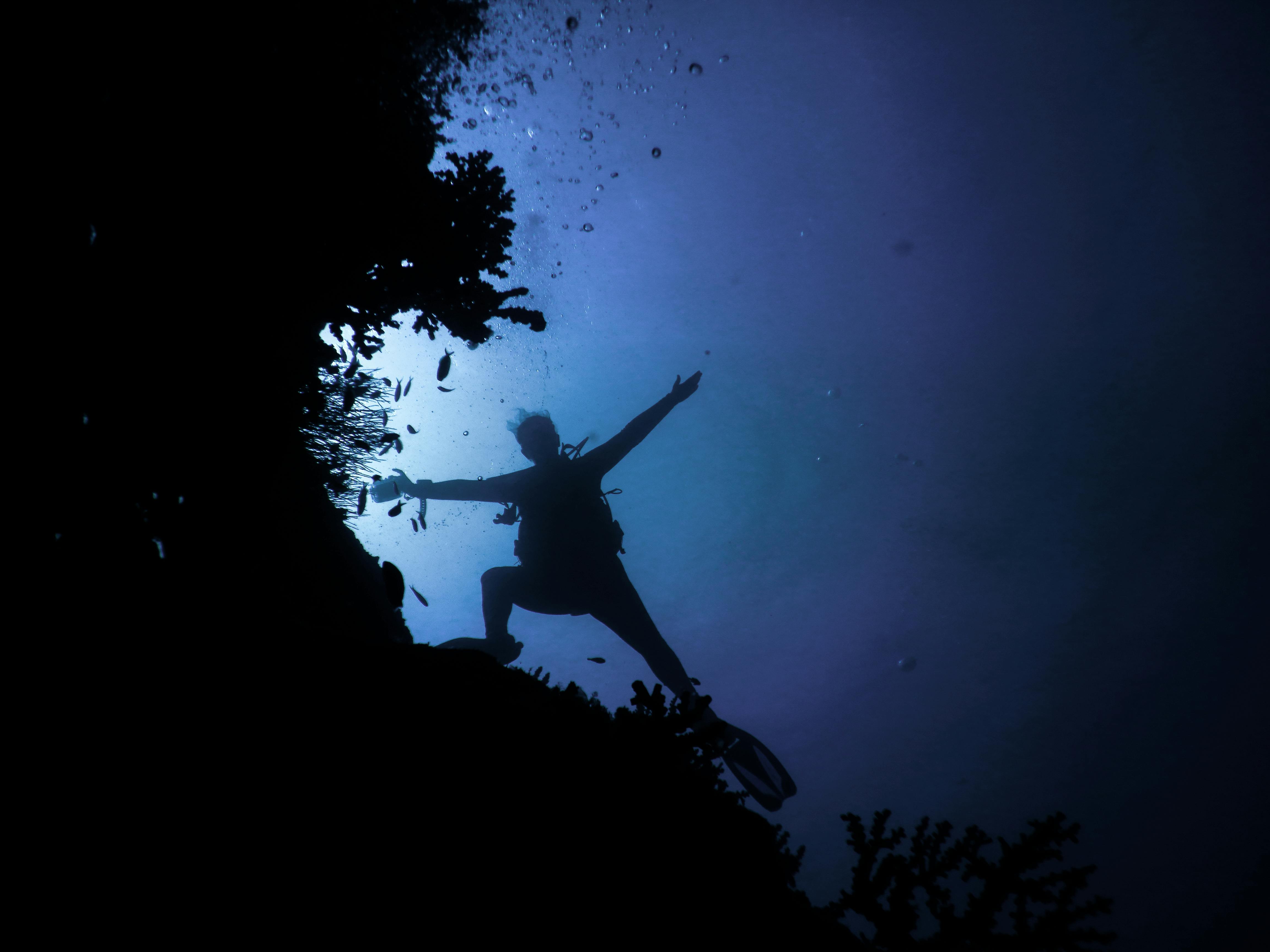 Diver Under The Sea · Free Stock Photo