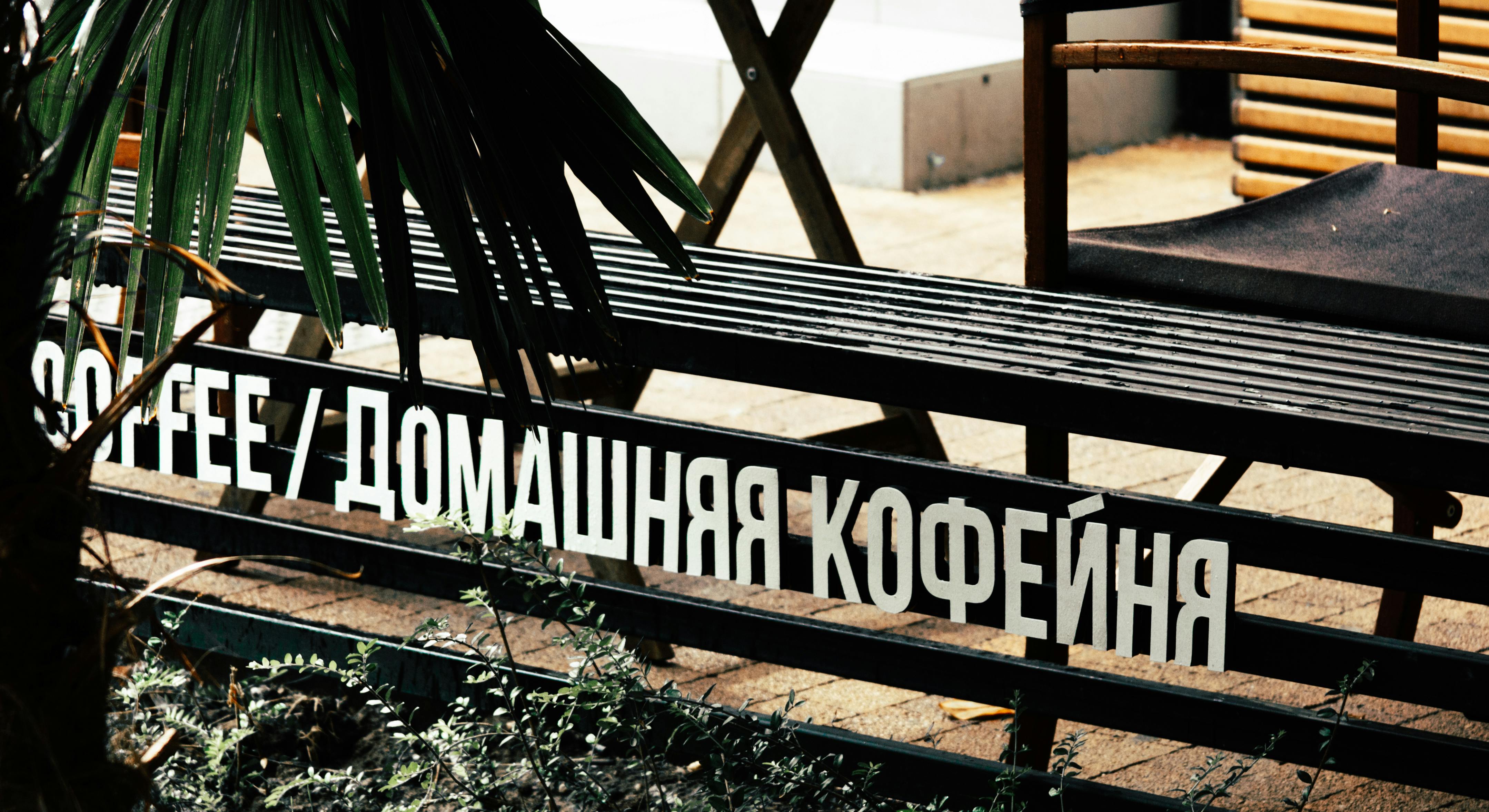 Free stock photo from Igor · Pexels