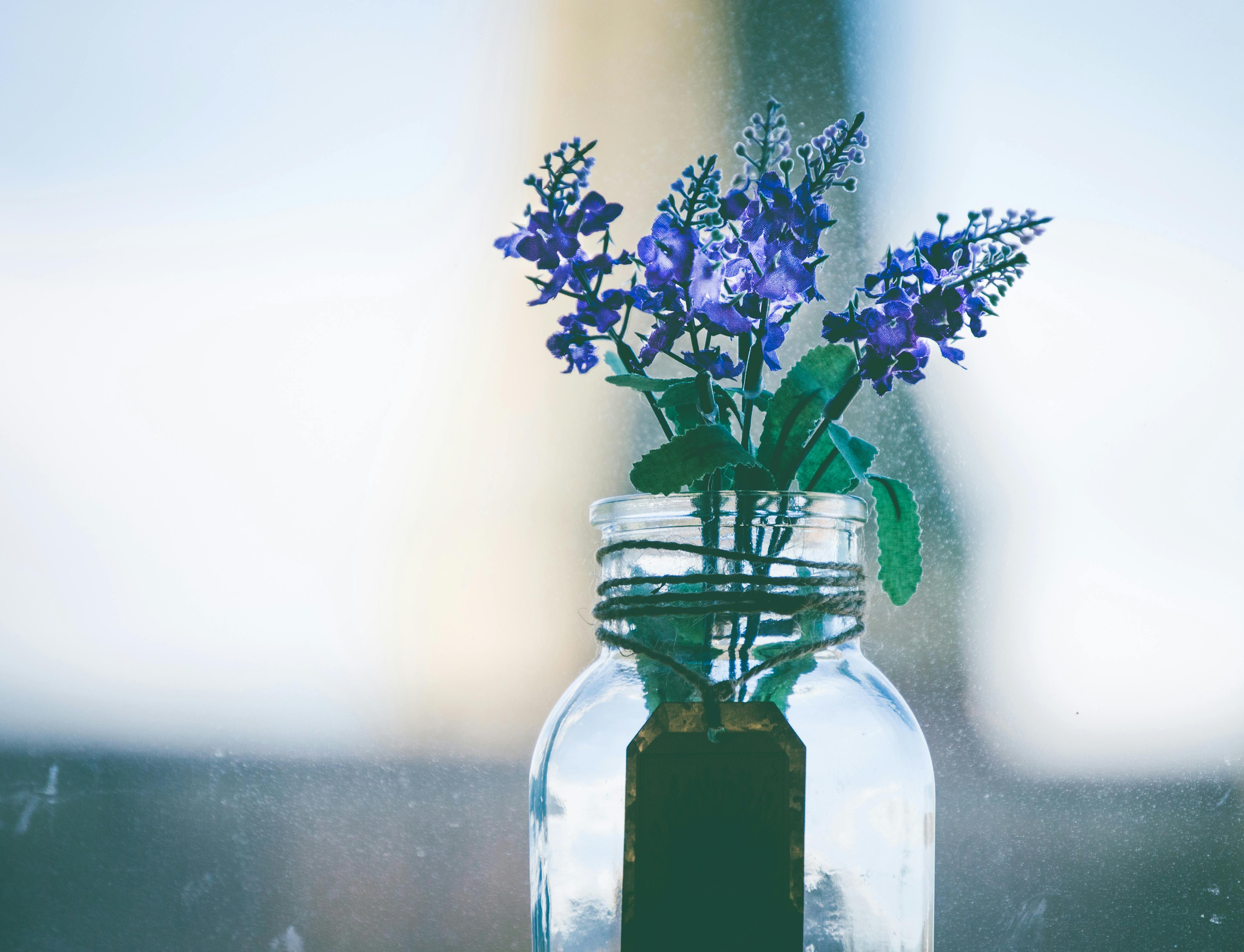 Close-Up Photography of Purple Flowers in Clear Glass Vase · Free Stock ...