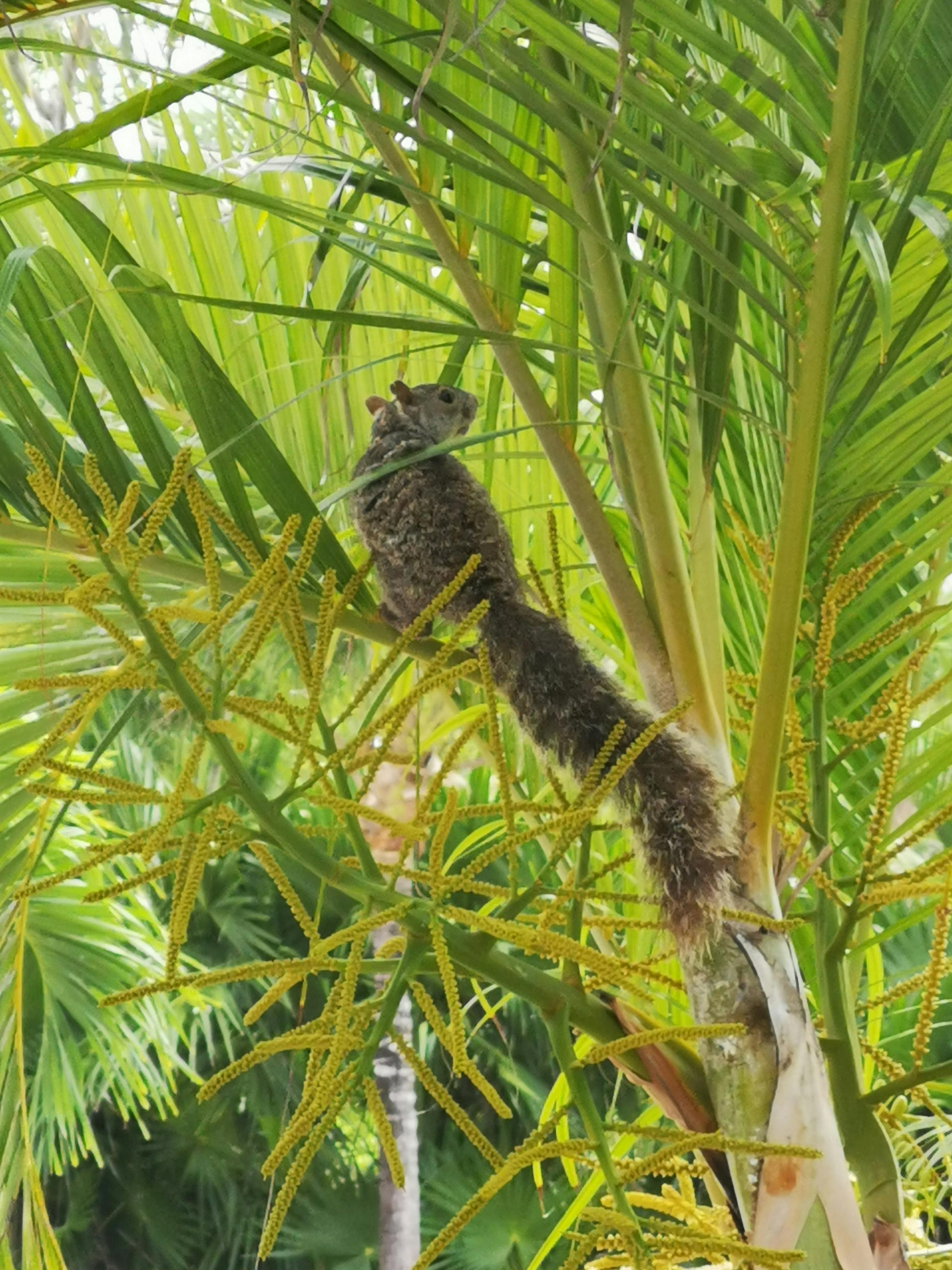 Carlos Porras - 사진