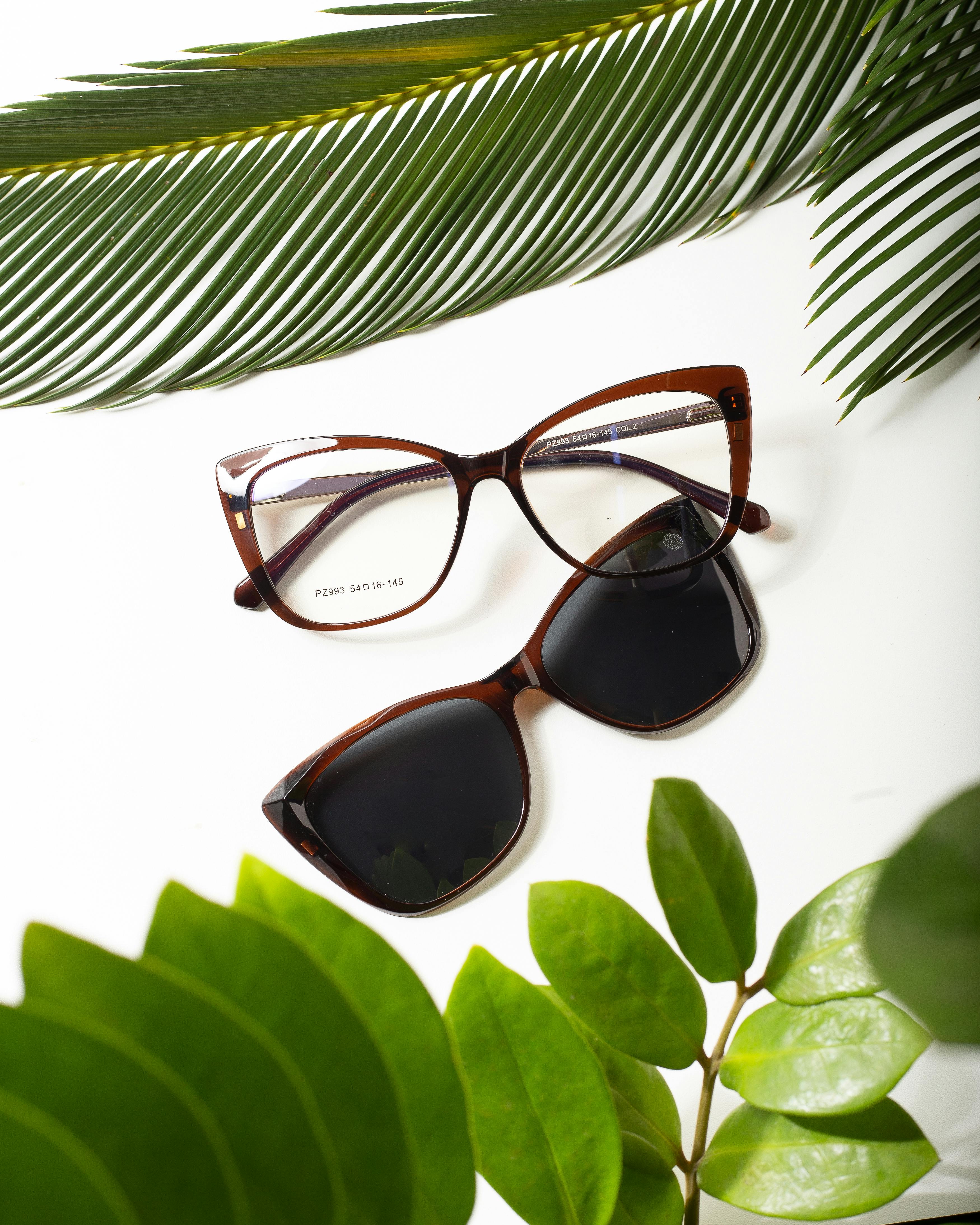 40+ Best Specs Photos · 100% Free Download · Pexels Stock Photos