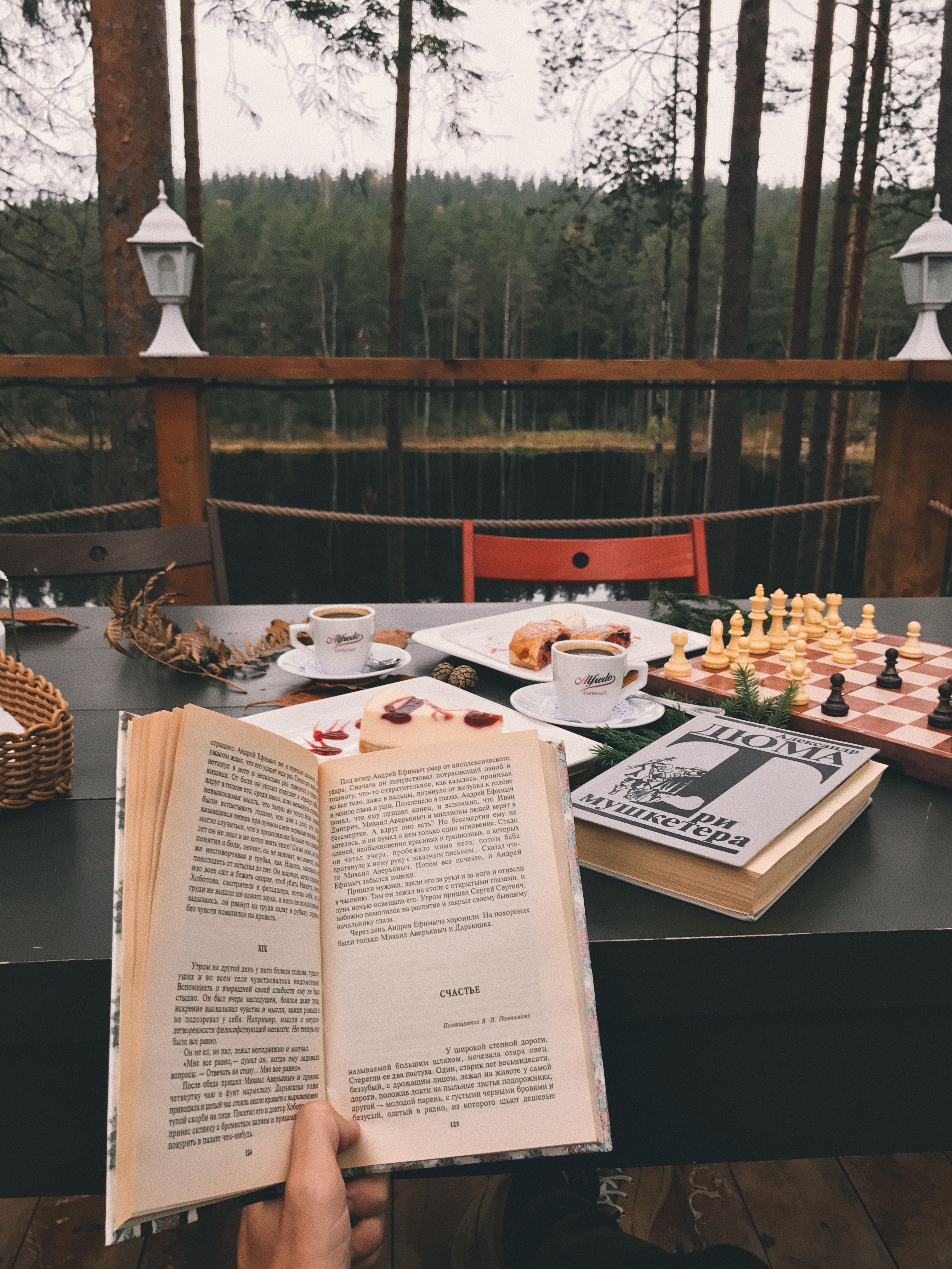 Forest And Books Photos, Download The BEST Free Forest And Books Stock ...