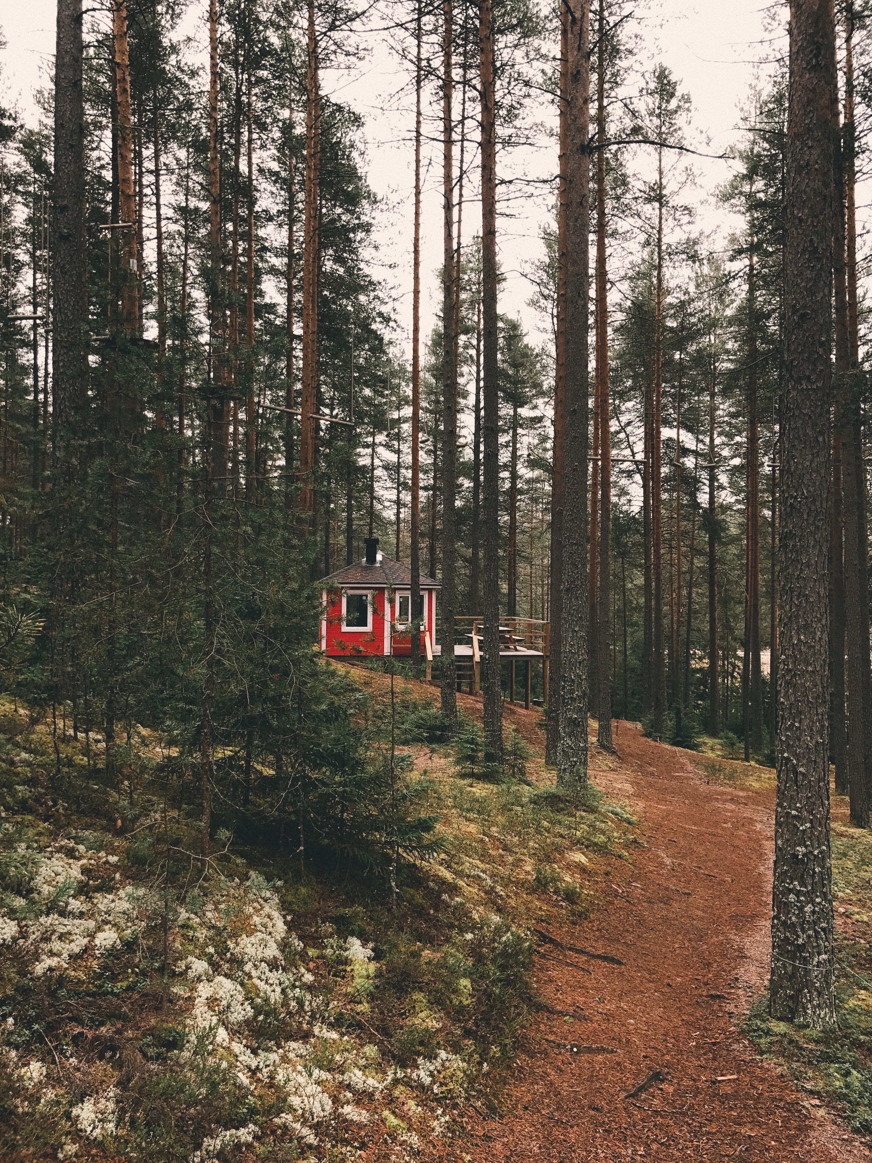 Pathway Going to a House · Free Stock Photo