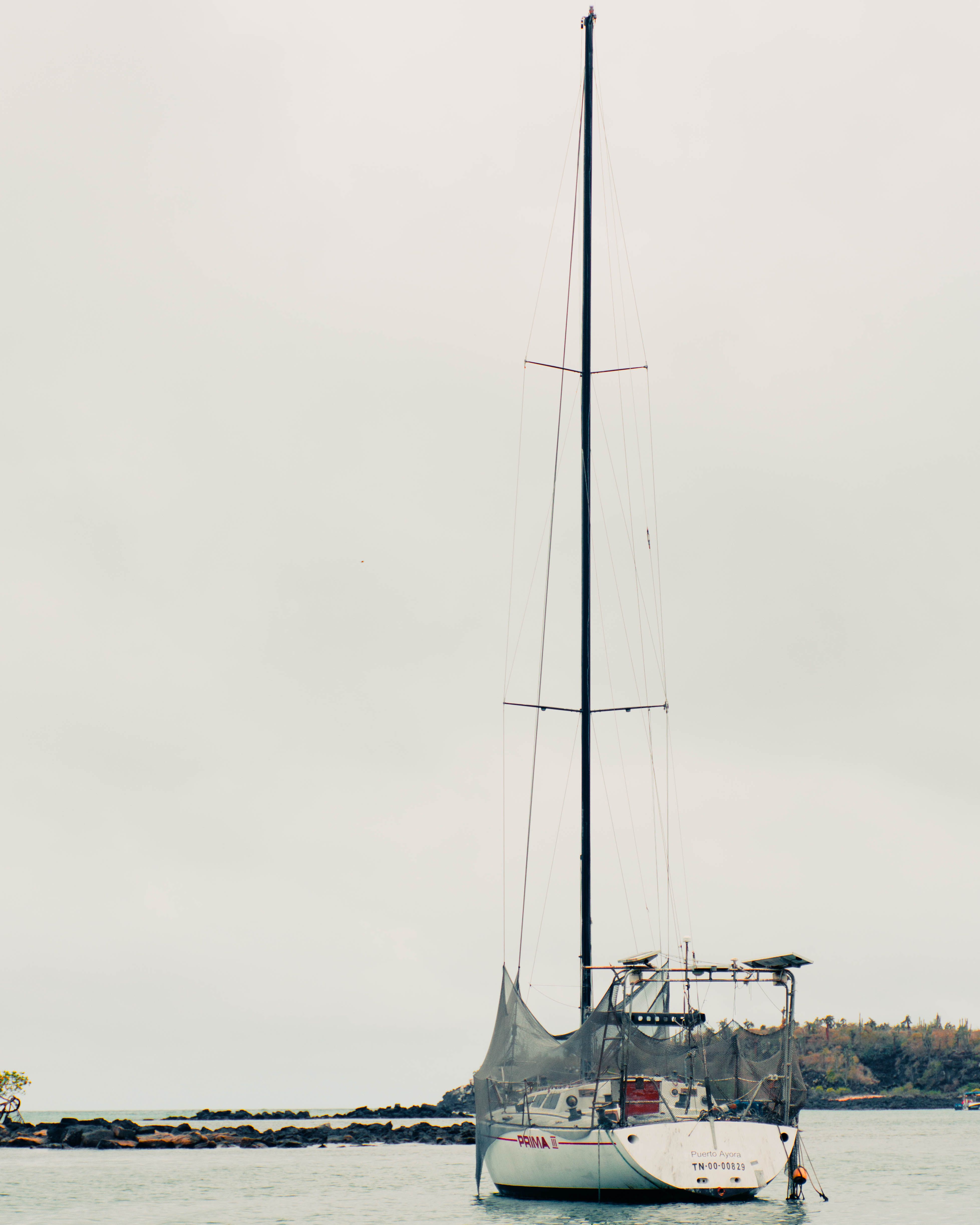 Sailboat on the Ocean · Free Stock Photo