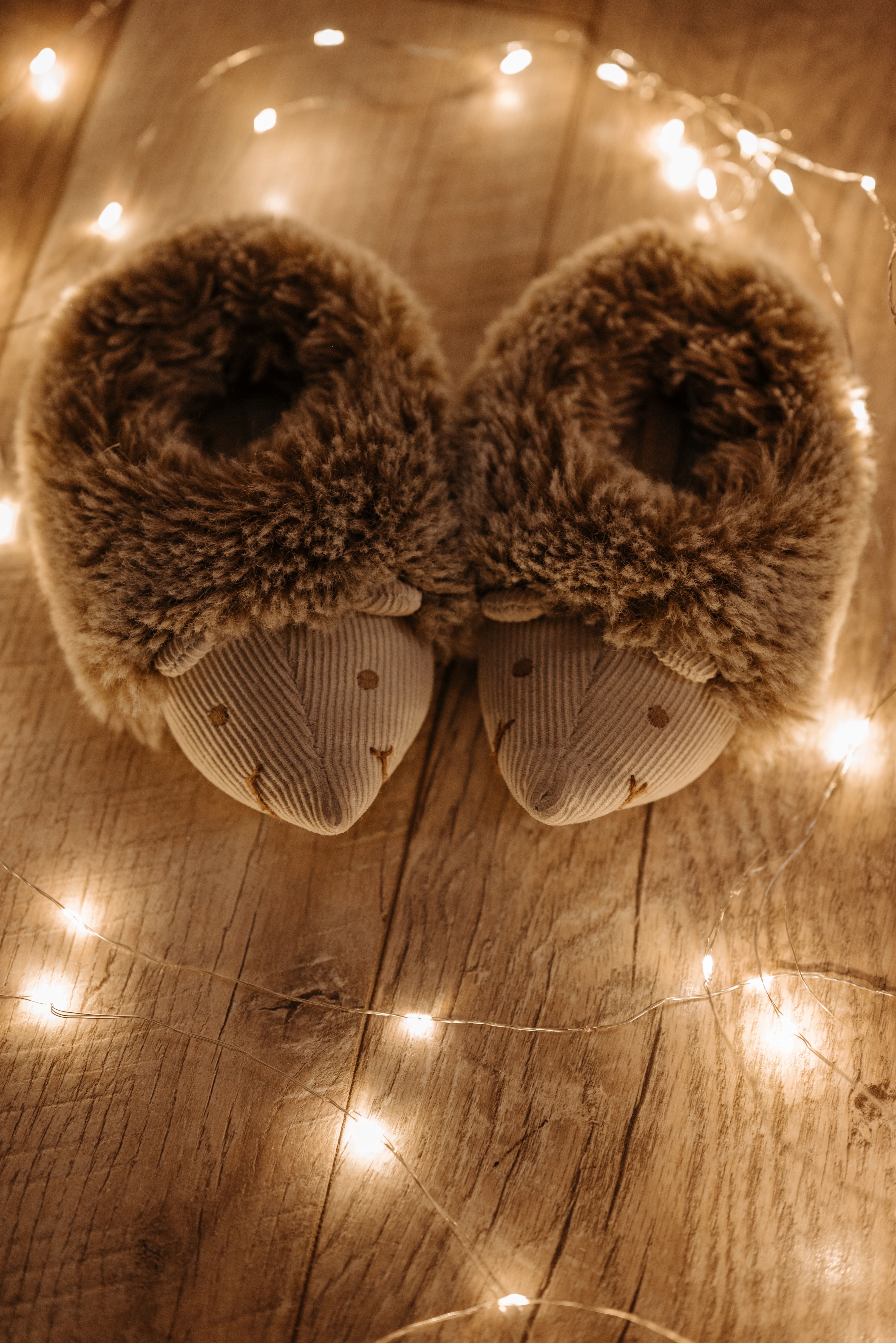 Pair of Slippers Like Hedgehogs · Free Stock Photo