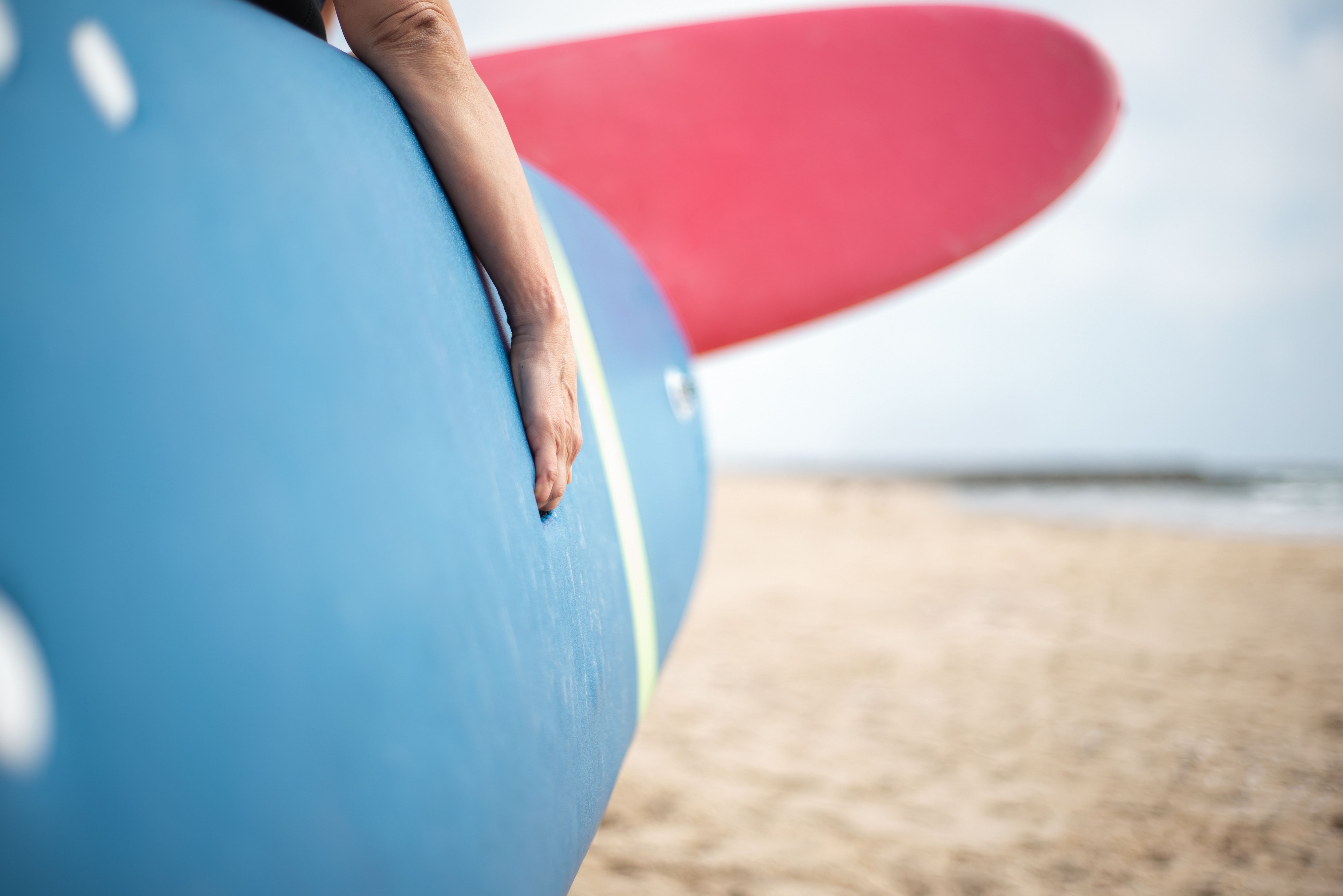Hand Carrying Something Photos, Download The BEST Free Hand Carrying ...