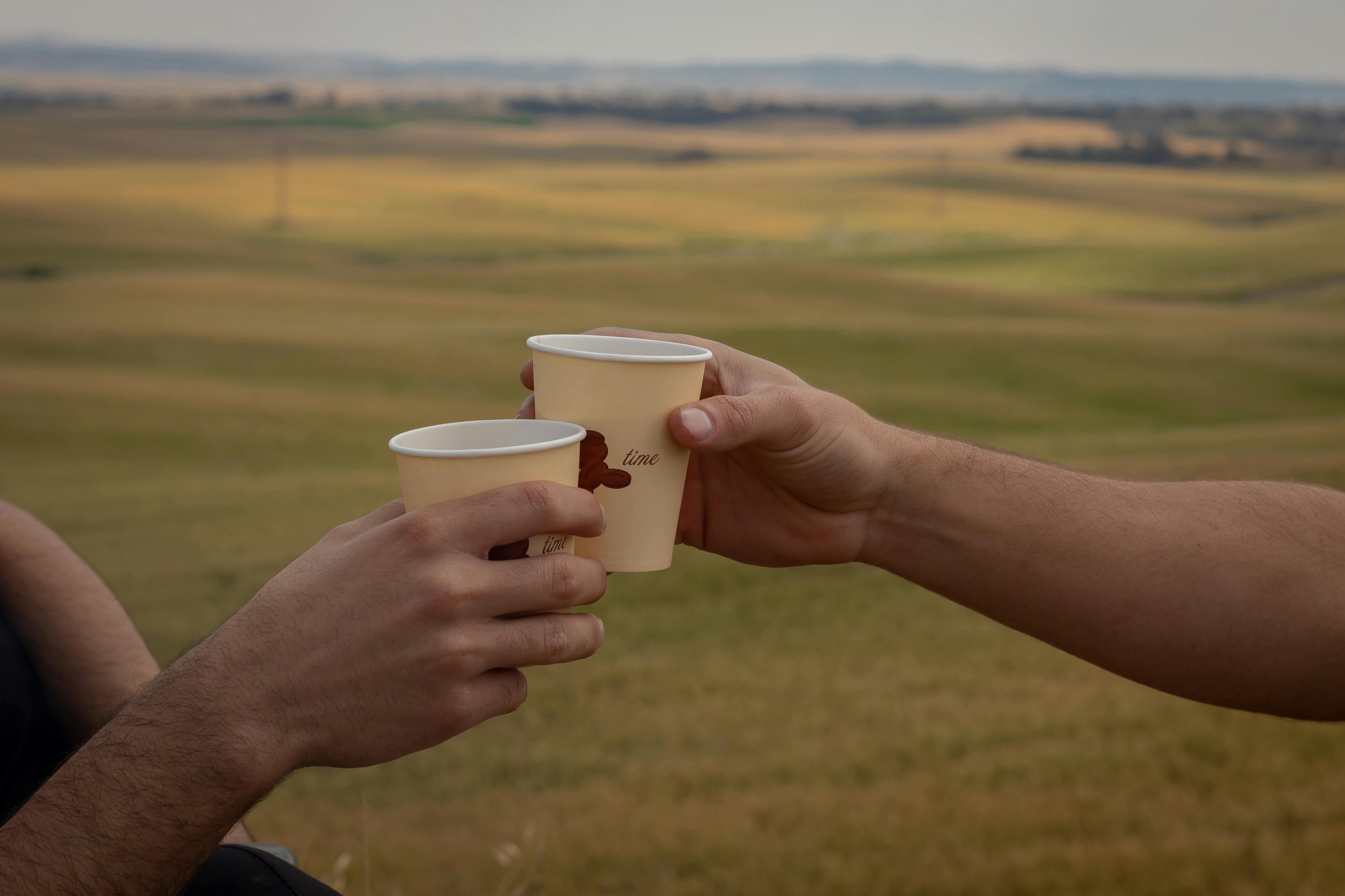 Friends clinking takeaway cups in nature in daytime · Free Stock Photo