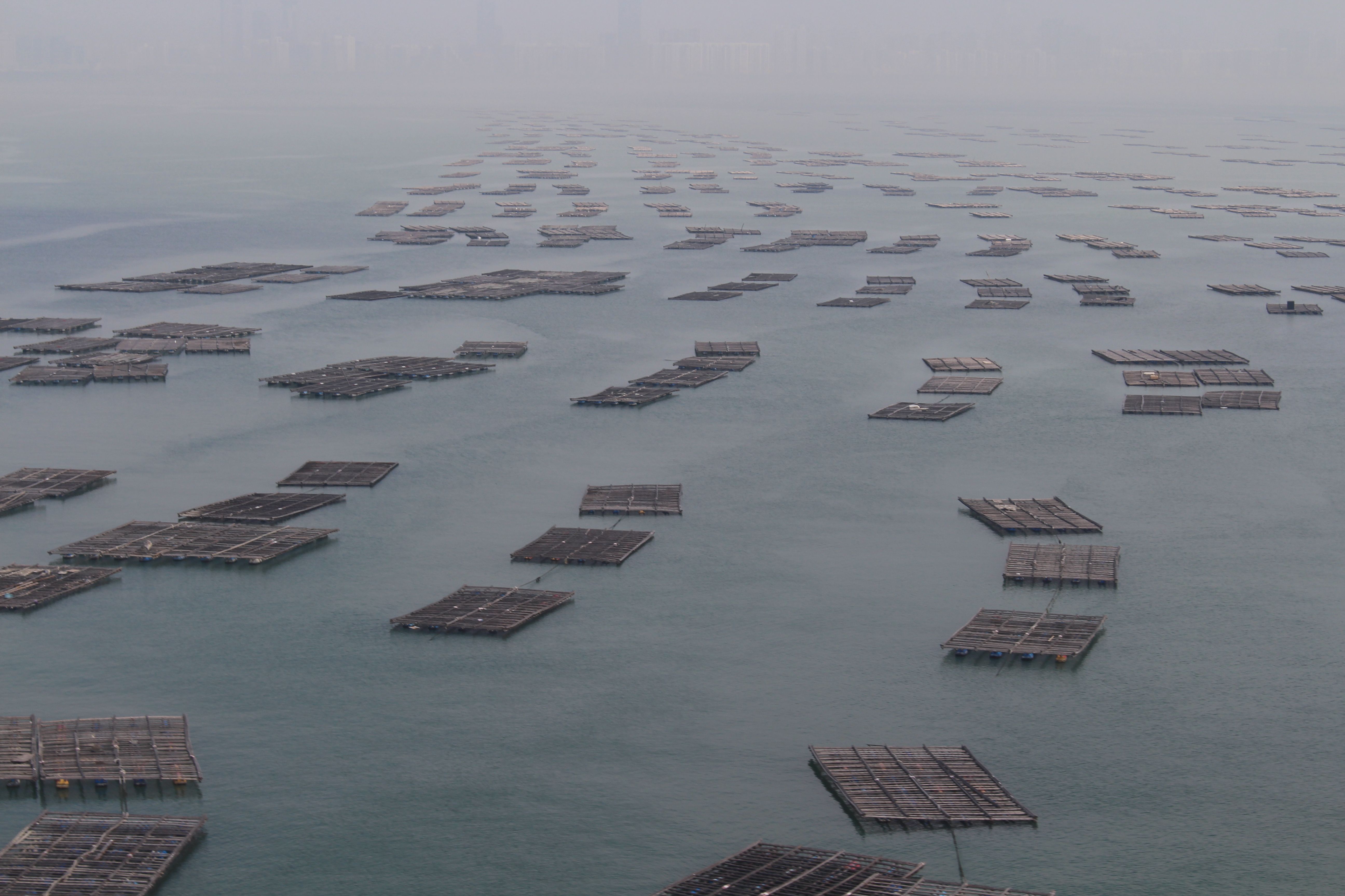 Aquaculture Fish Farming Photos, Download The BEST Free Aquaculture ...