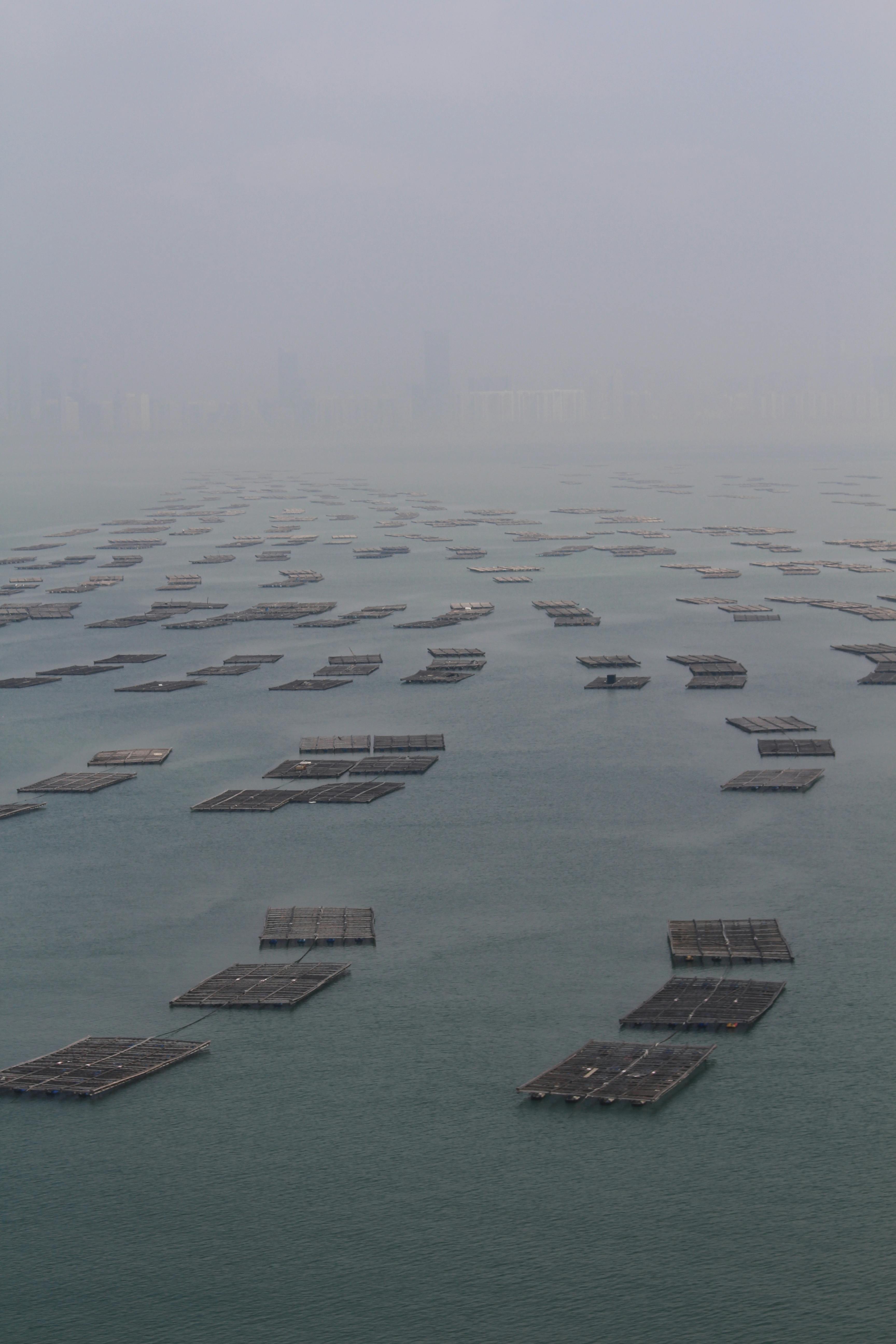 Rafts on Wide River · Free Stock Photo