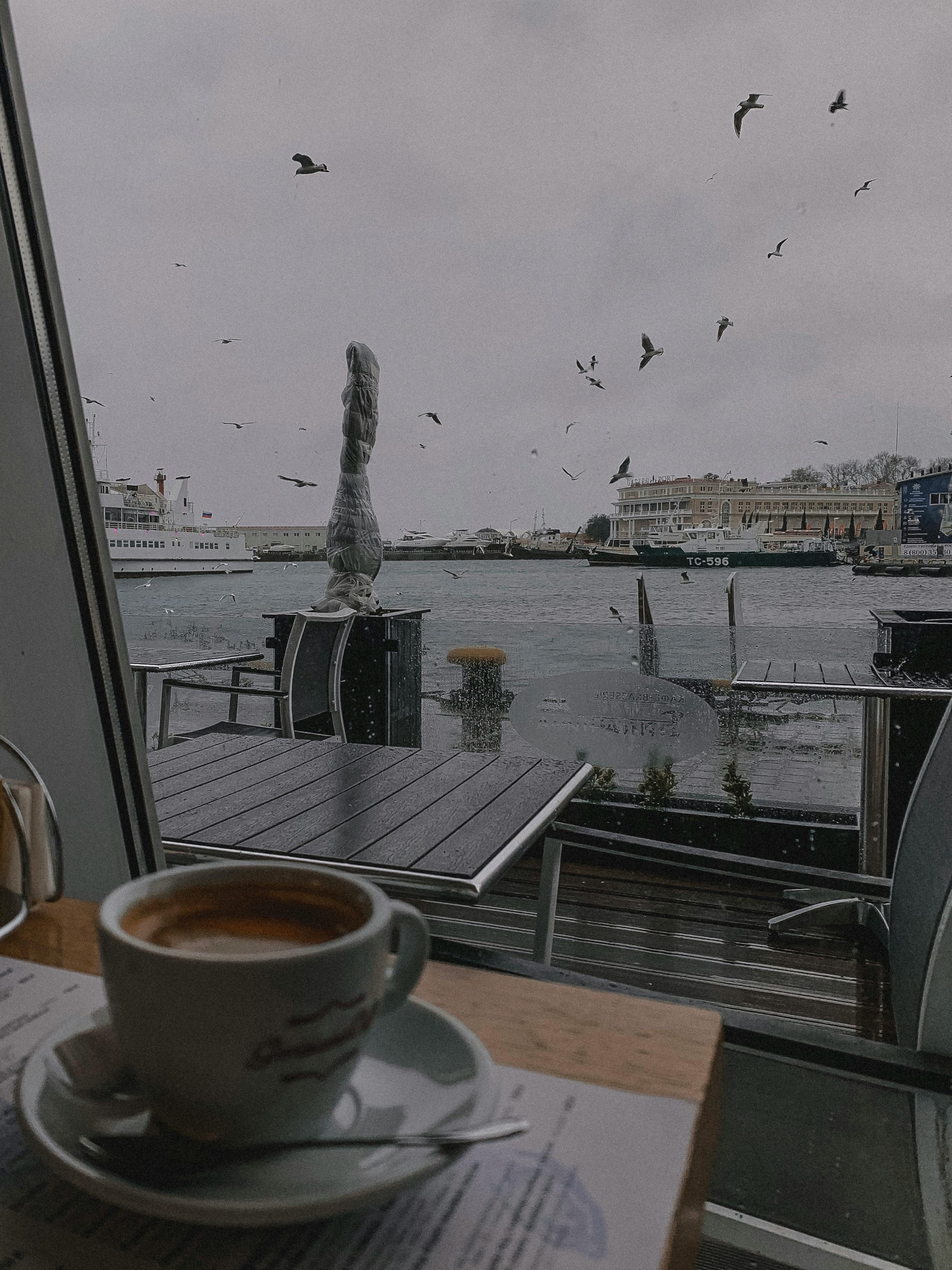 A Coffee on the Table with an Ocean View · Free Stock Photo