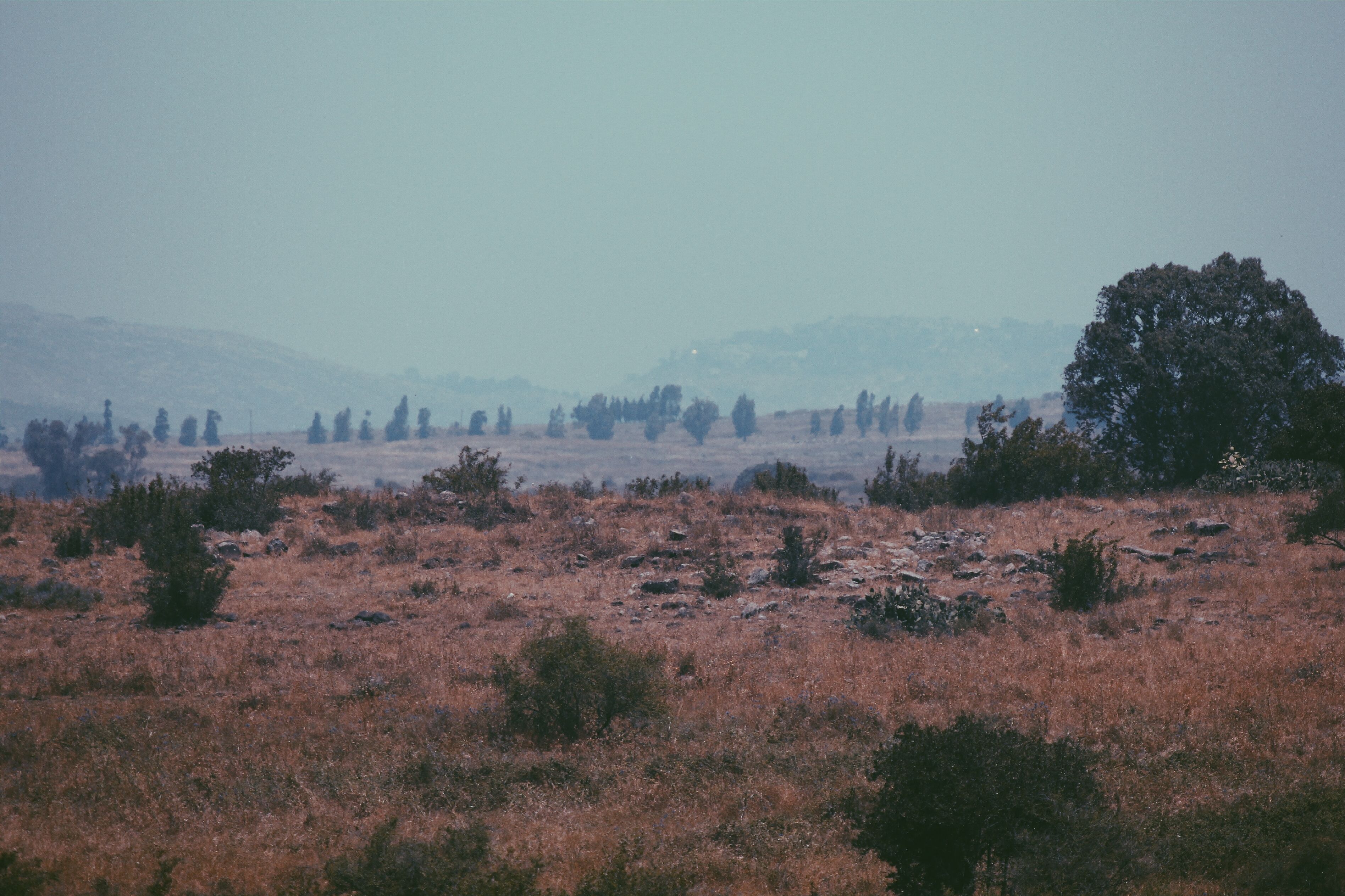 Semi Arid Landscape Photos, Download The BEST Free Semi Arid Landscape ...