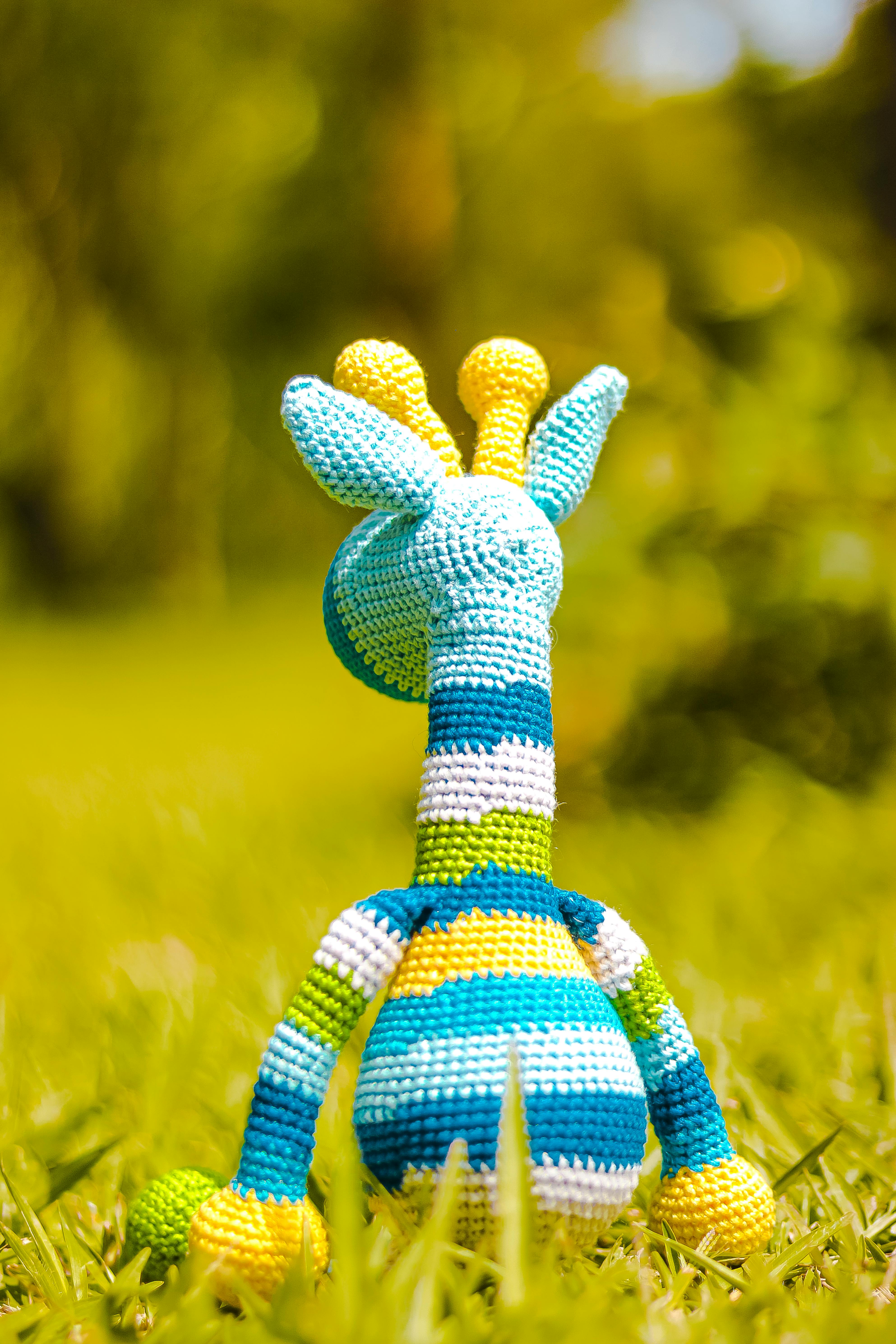A Back View of Knitted Plush Toy · Free Stock Photo