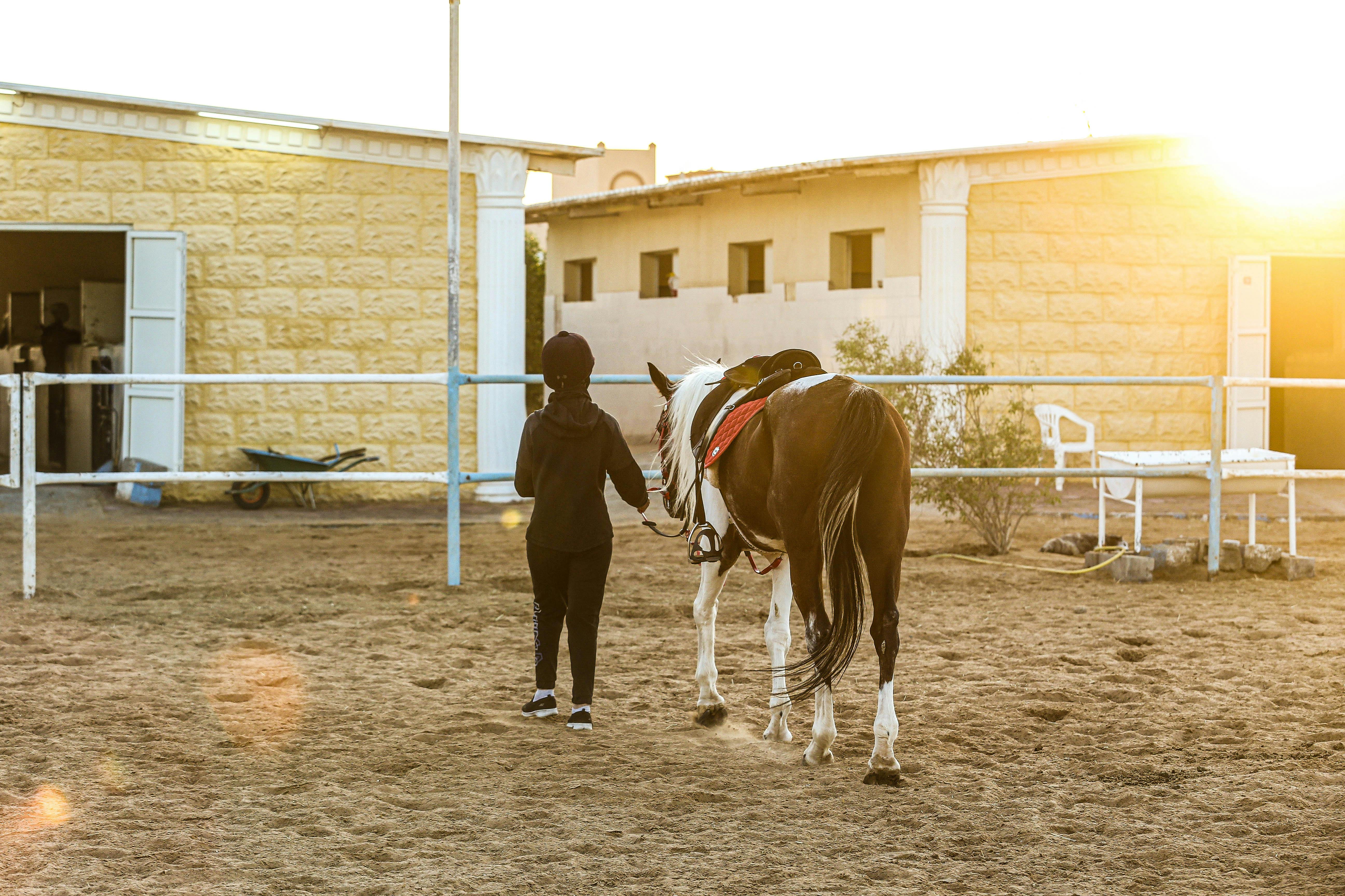 Person Walking with the Horse · Free Stock Photo