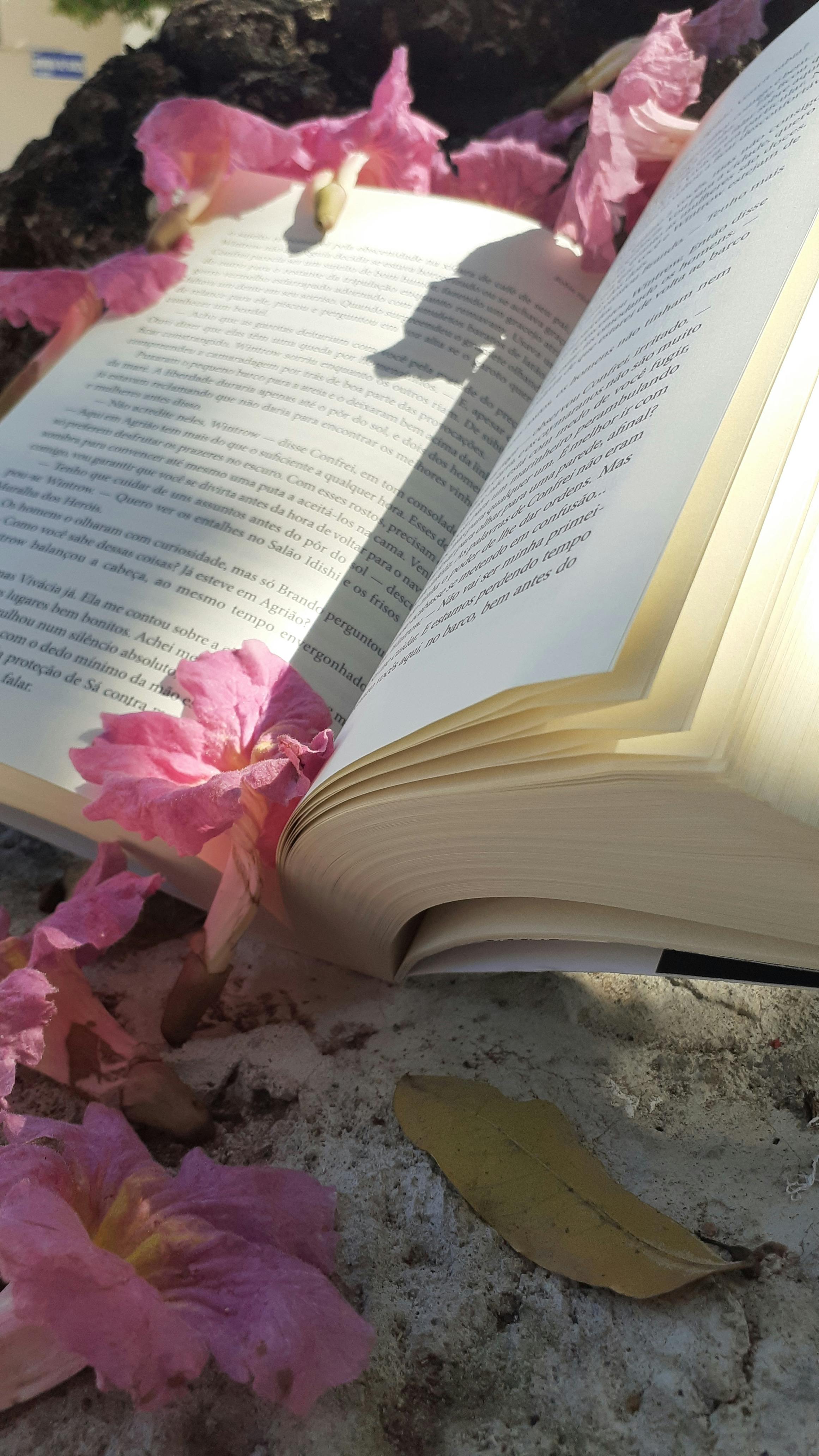 A Close-Up Shot of an Opened Book with Daisy Flowers · Free Stock Photo