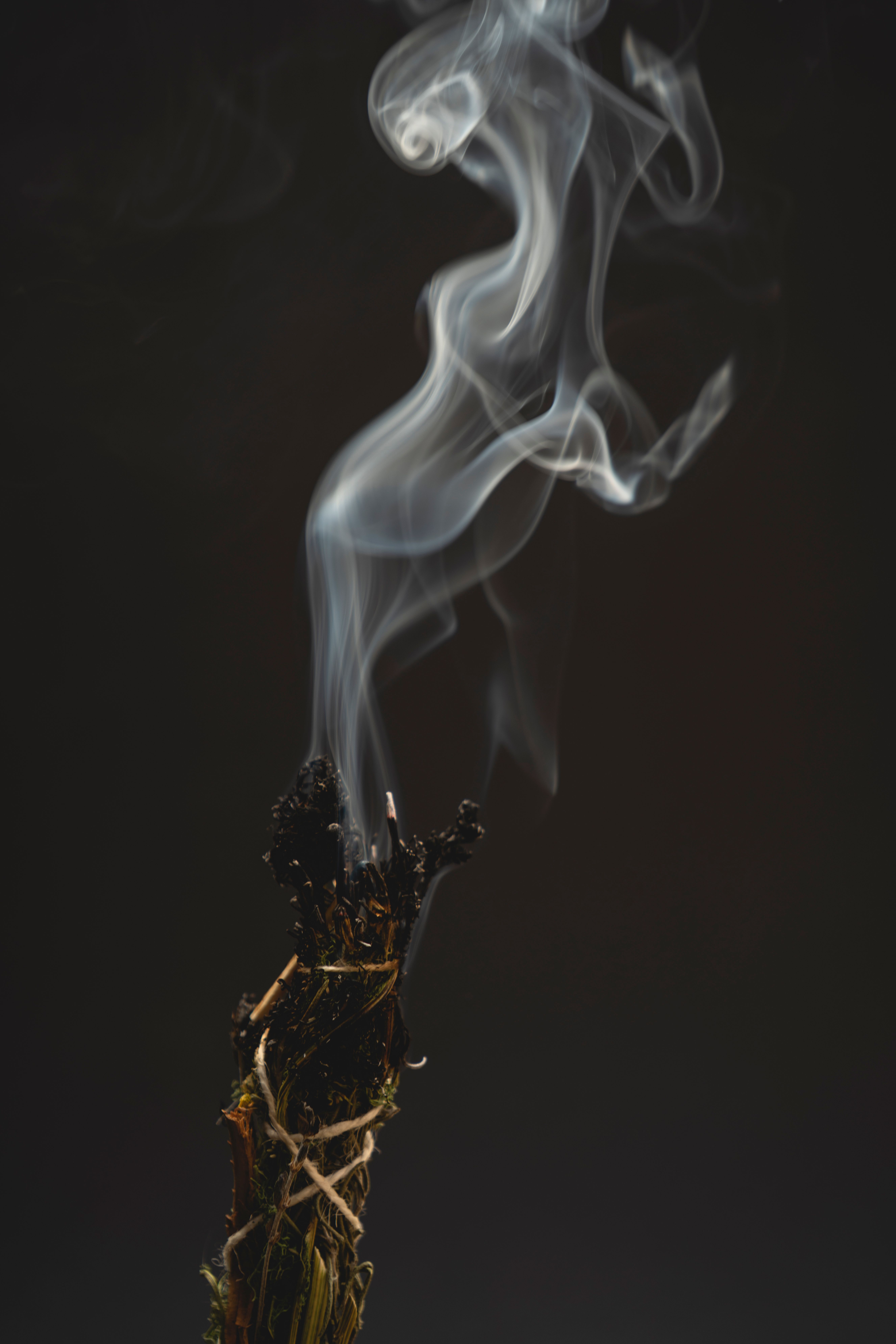 A Close-Up Shot of a Burning Incense · Free Stock Photo