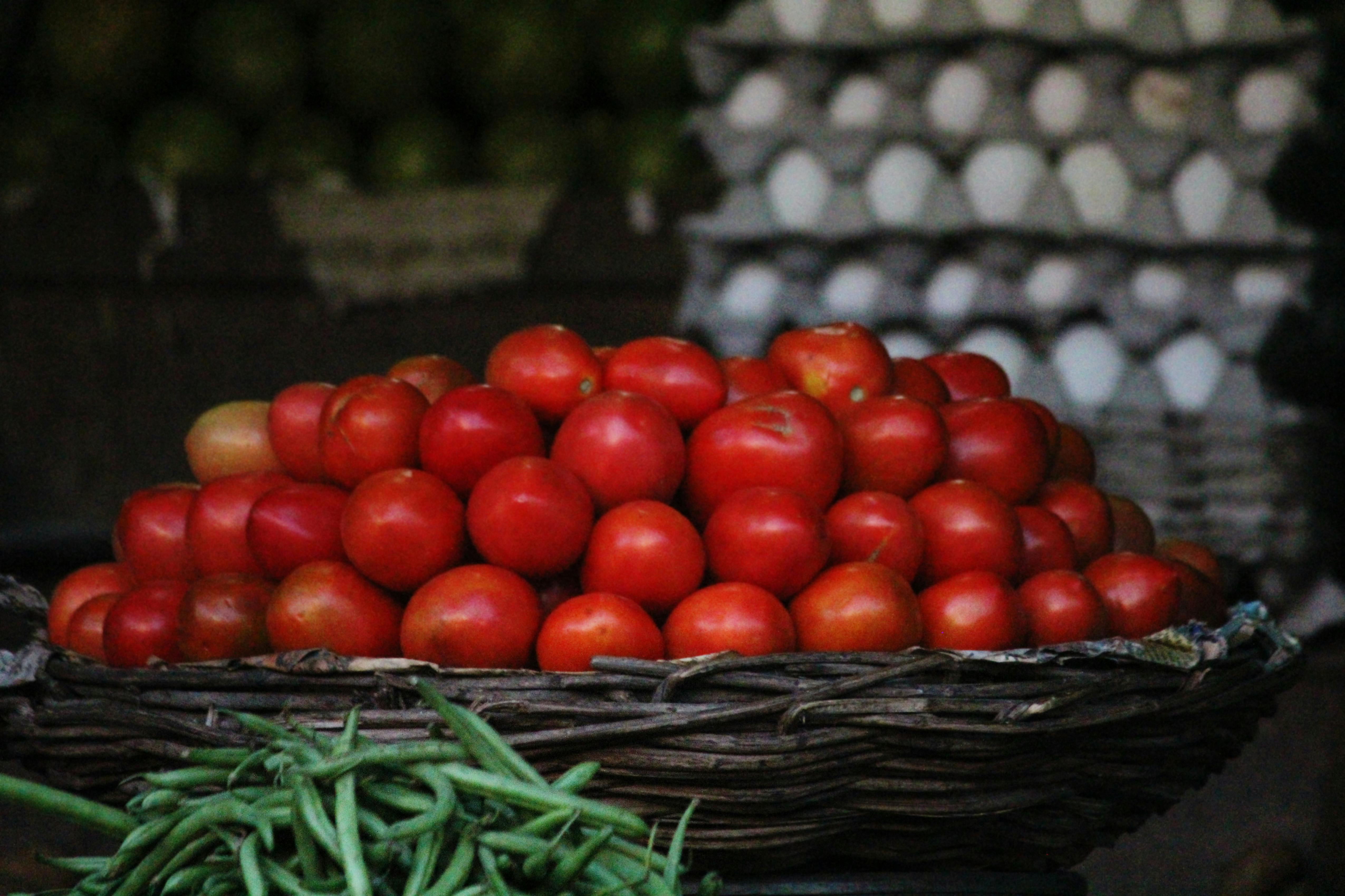 Free stock photo of blue, blur, box