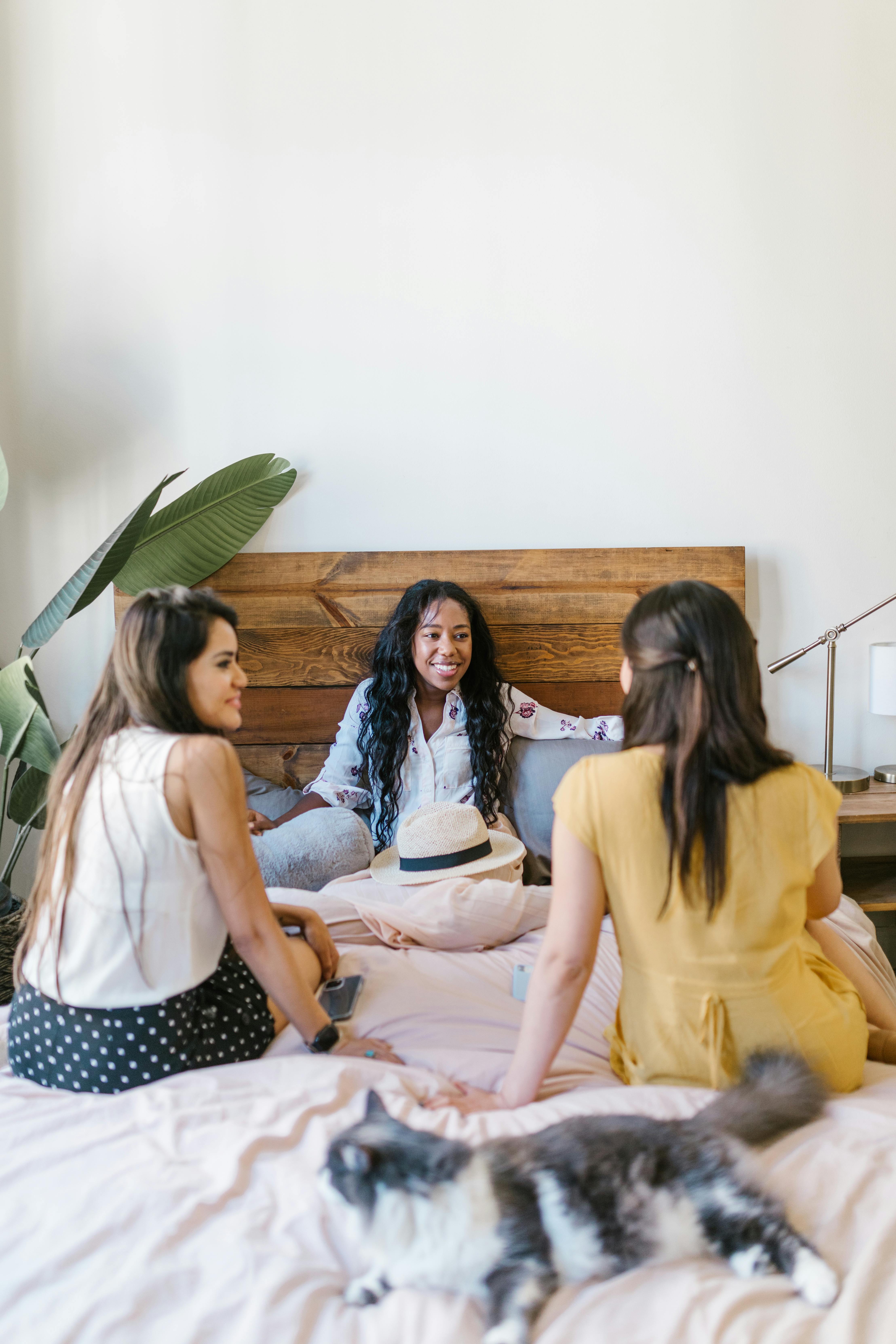 Cat Gathering Photos, Download The BEST Free Cat Gathering Stock Photos ...