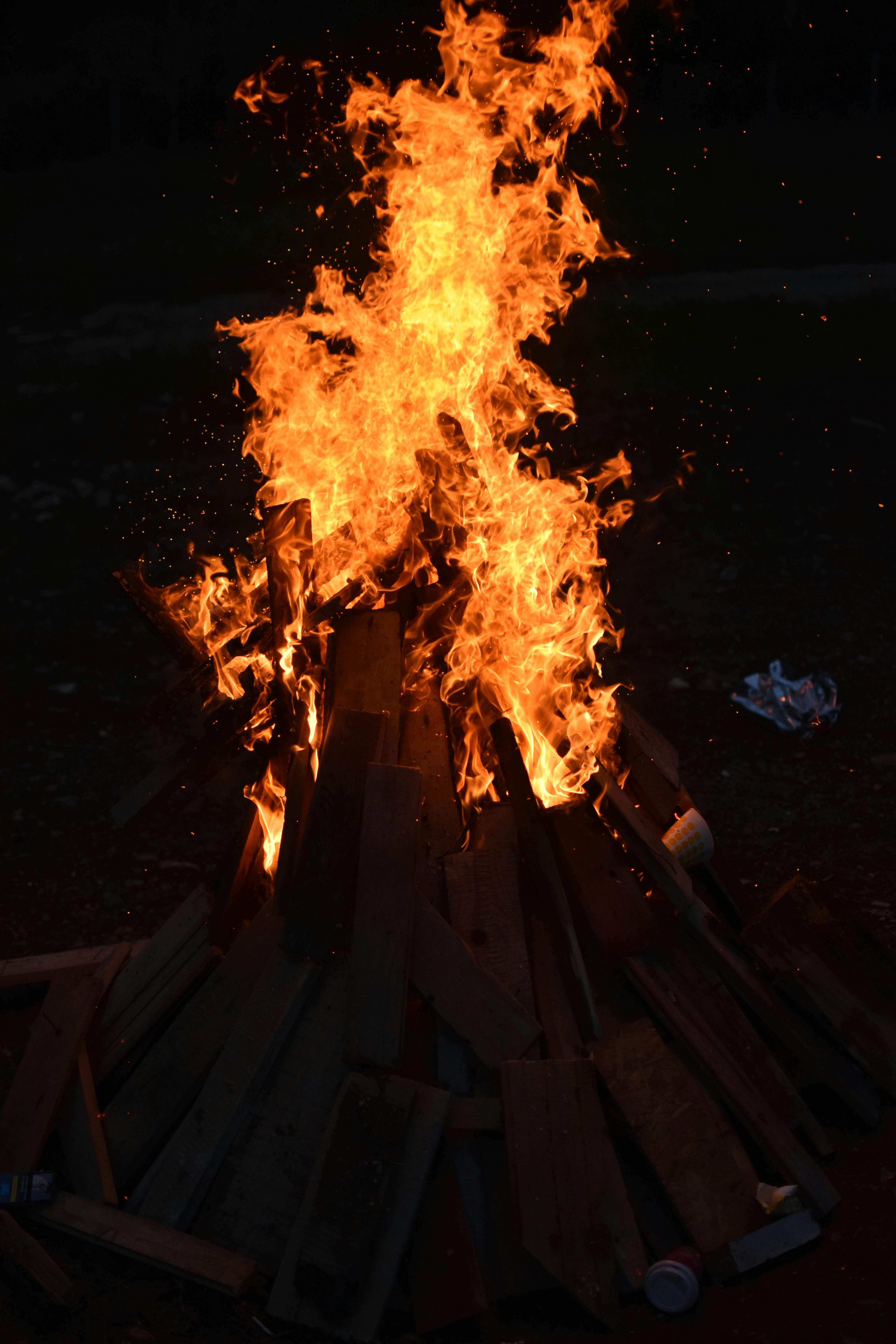 Close-up of Bonfire Burning · Free Stock Photo