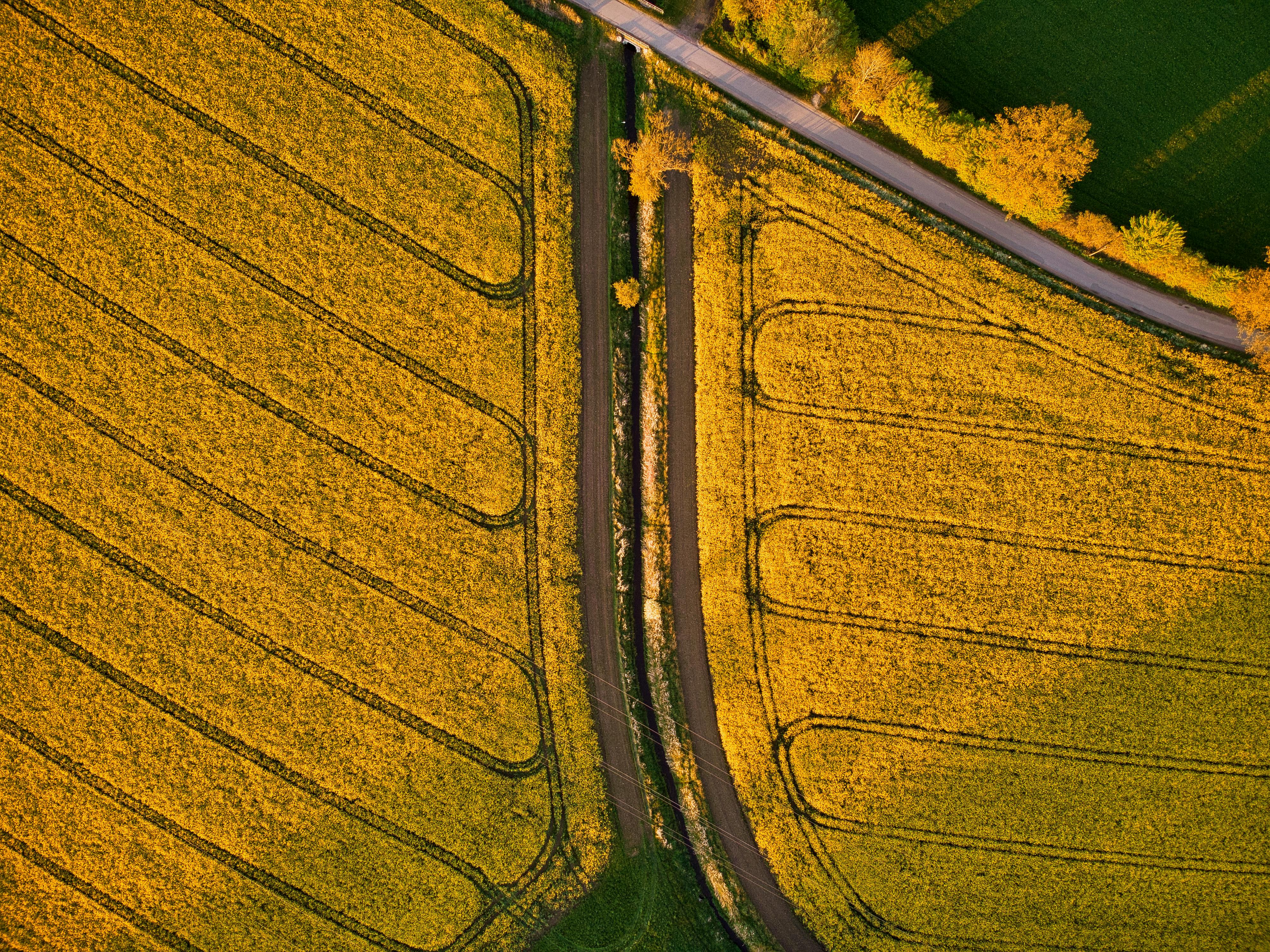 Aerial Photography of Fields · Free Stock Photo