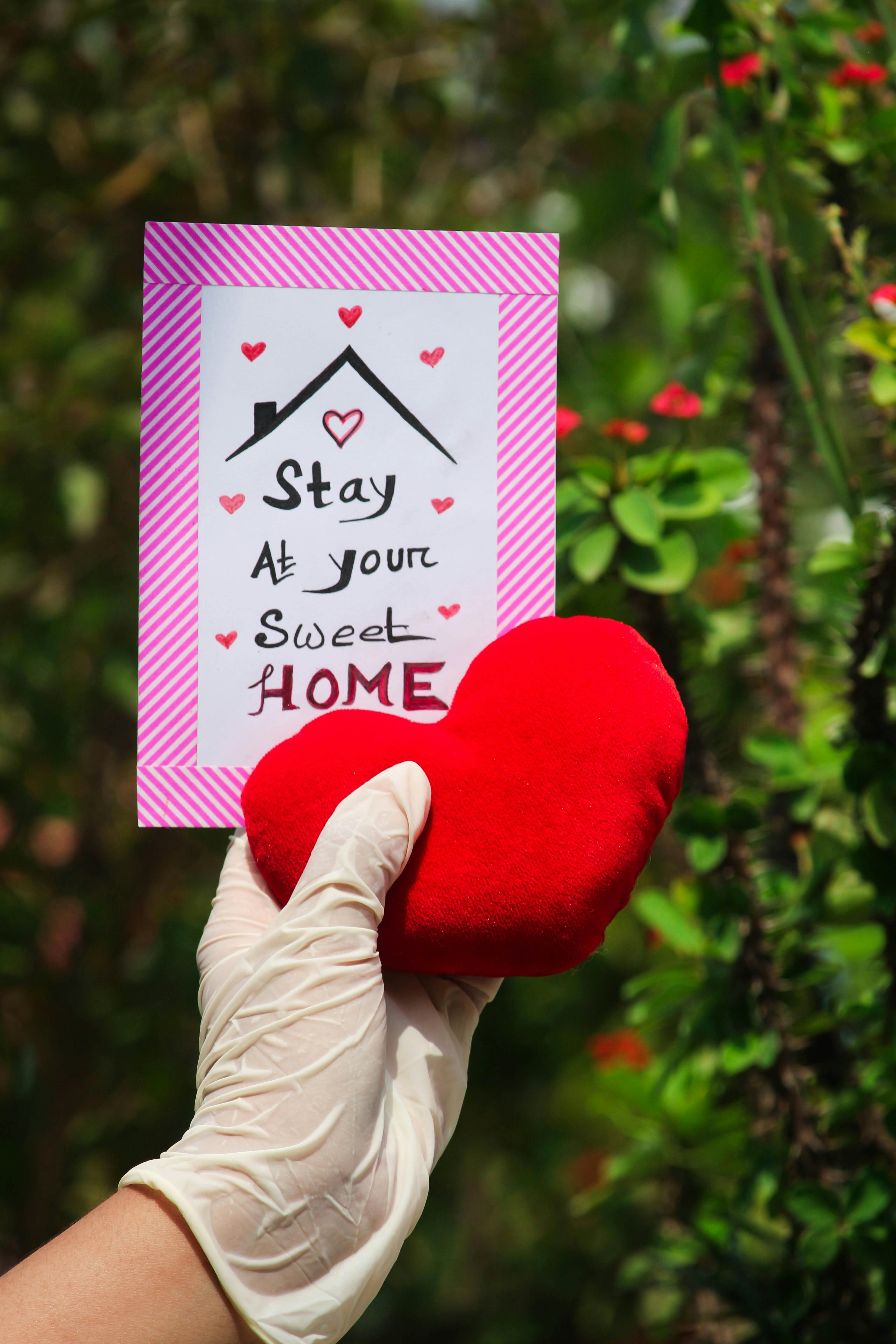 Person Stirring Liquid in a Clear Cup · Free Stock Photo