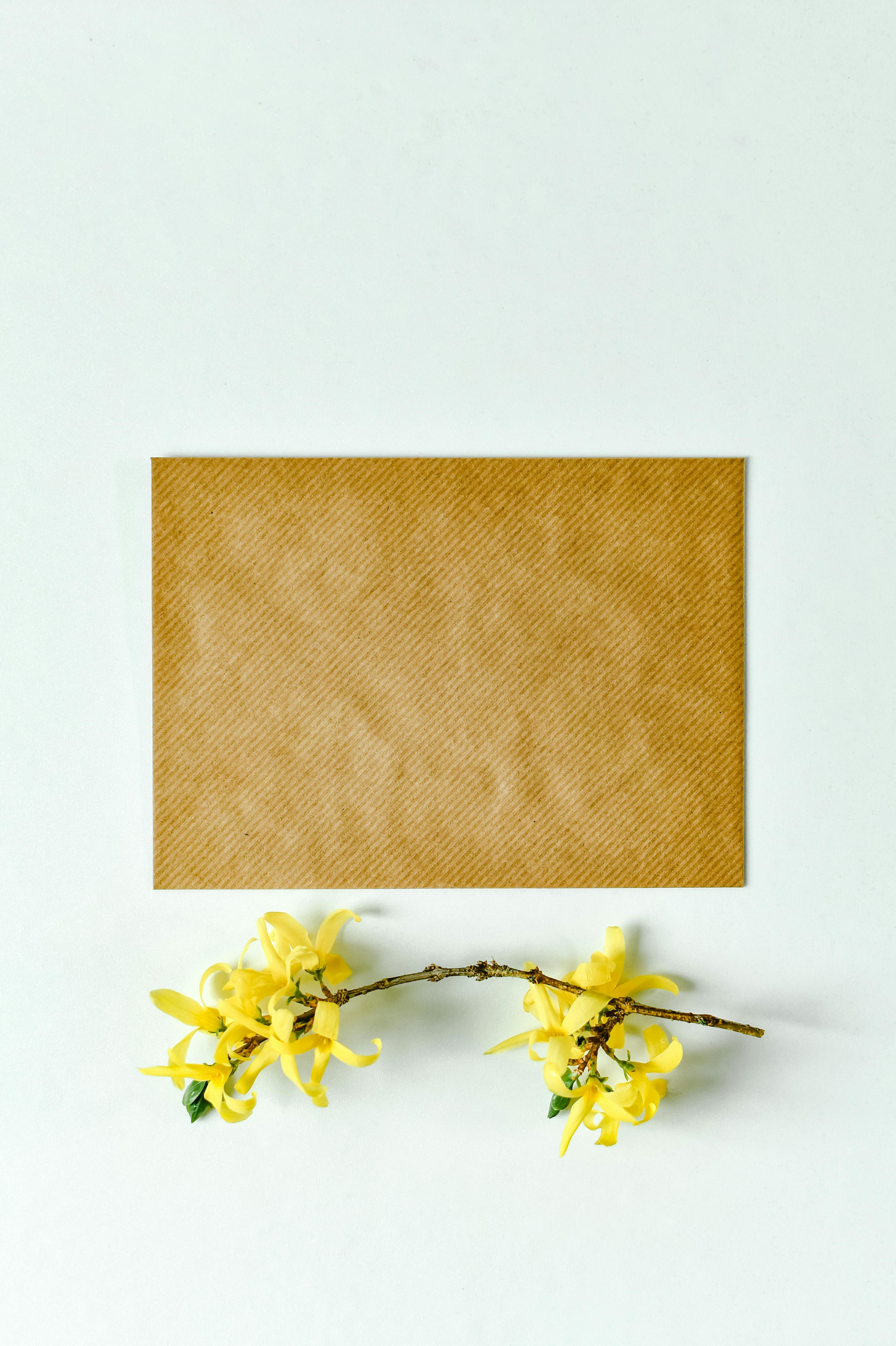 Yellow Envelope Photos, Download The BEST Free Yellow Envelope Stock ...