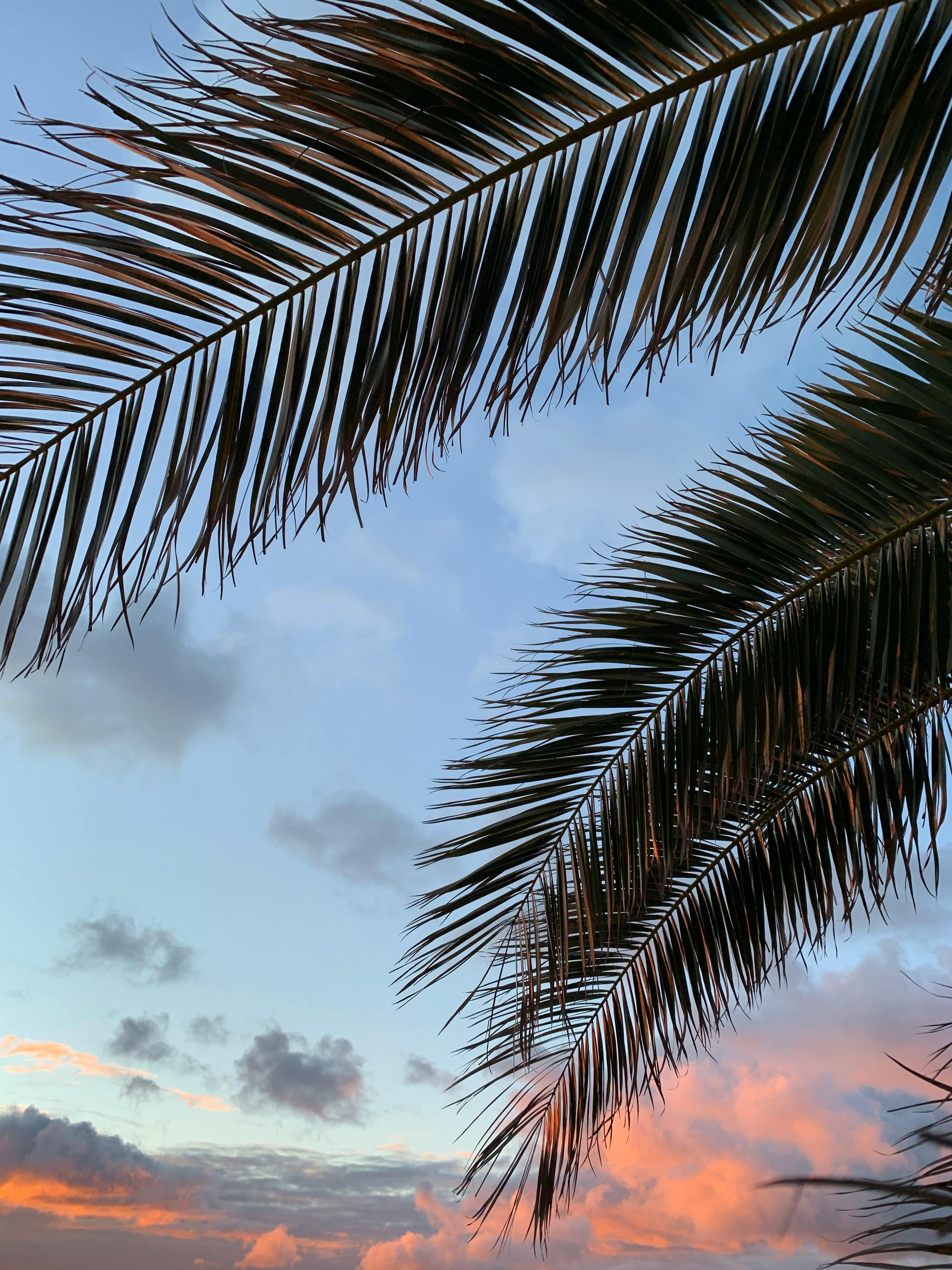 100,000+ Best Beach Sunset Photos · 100% Free Download · Pexels Stock ...