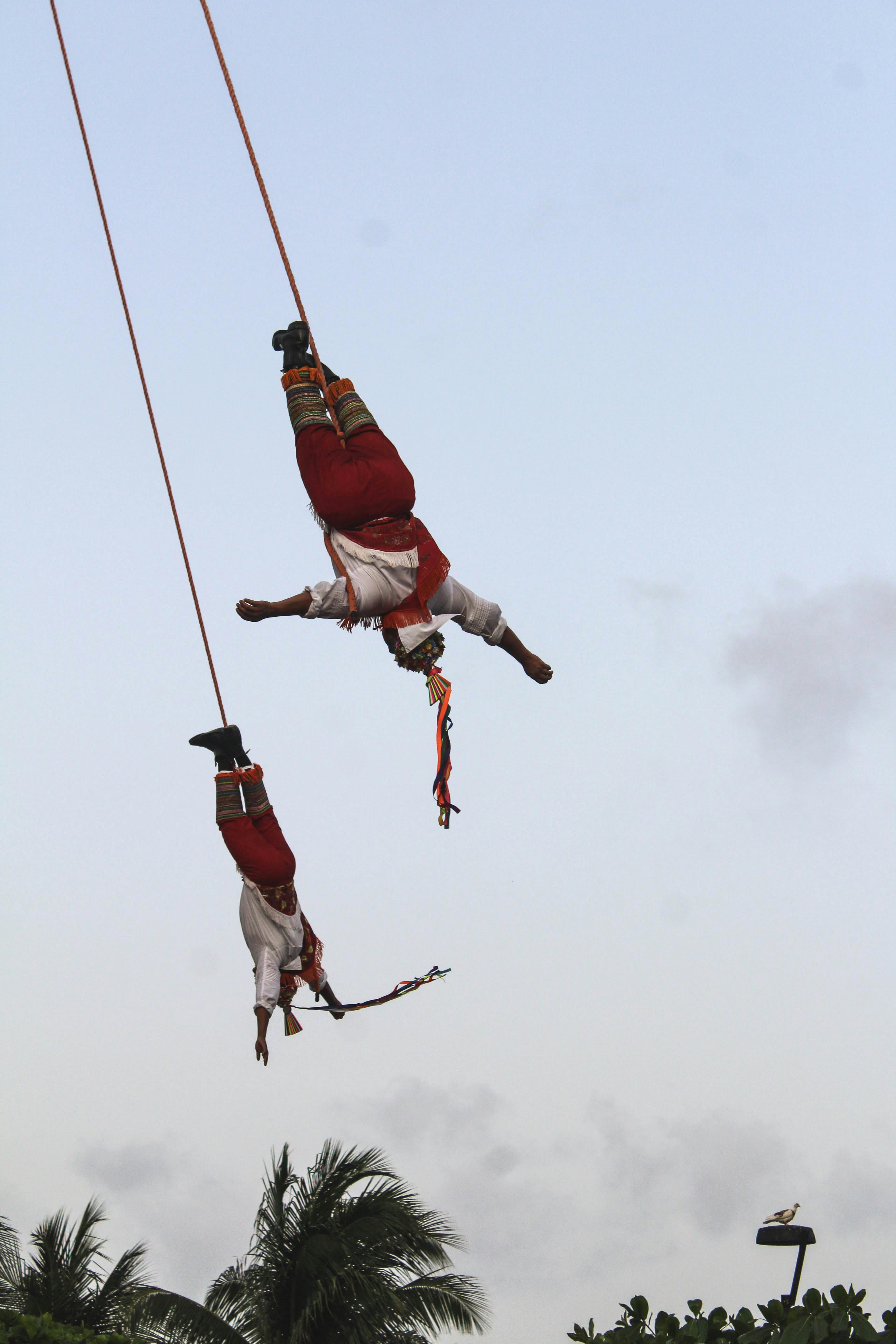 People Hanging Upside Down on Ropes · Free Stock Photo